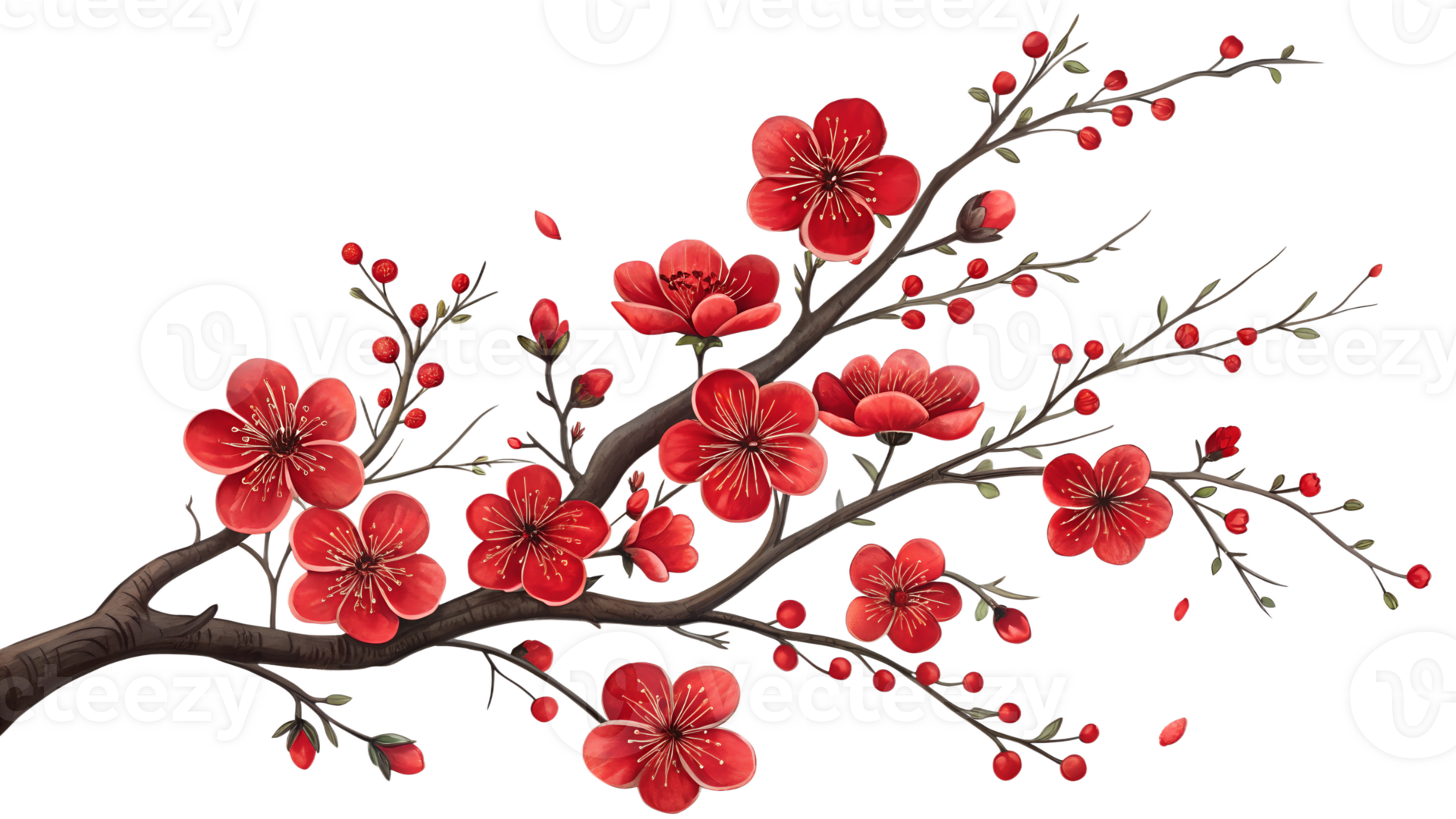 Red Plum Blossom Branch on transparent background 55841472 PNG