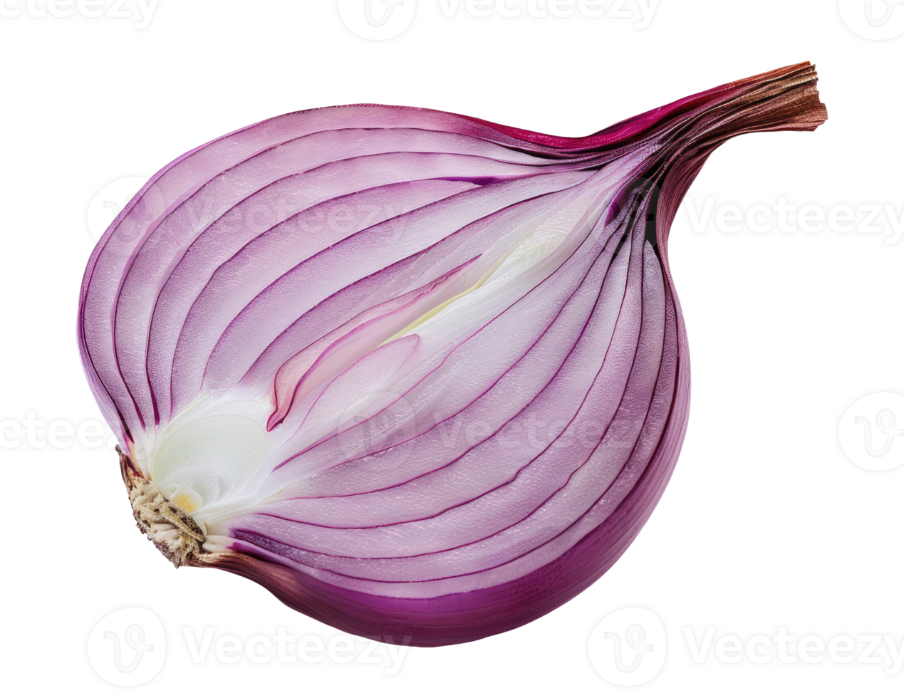 medio de un rojo cebolla 55980793 PNG