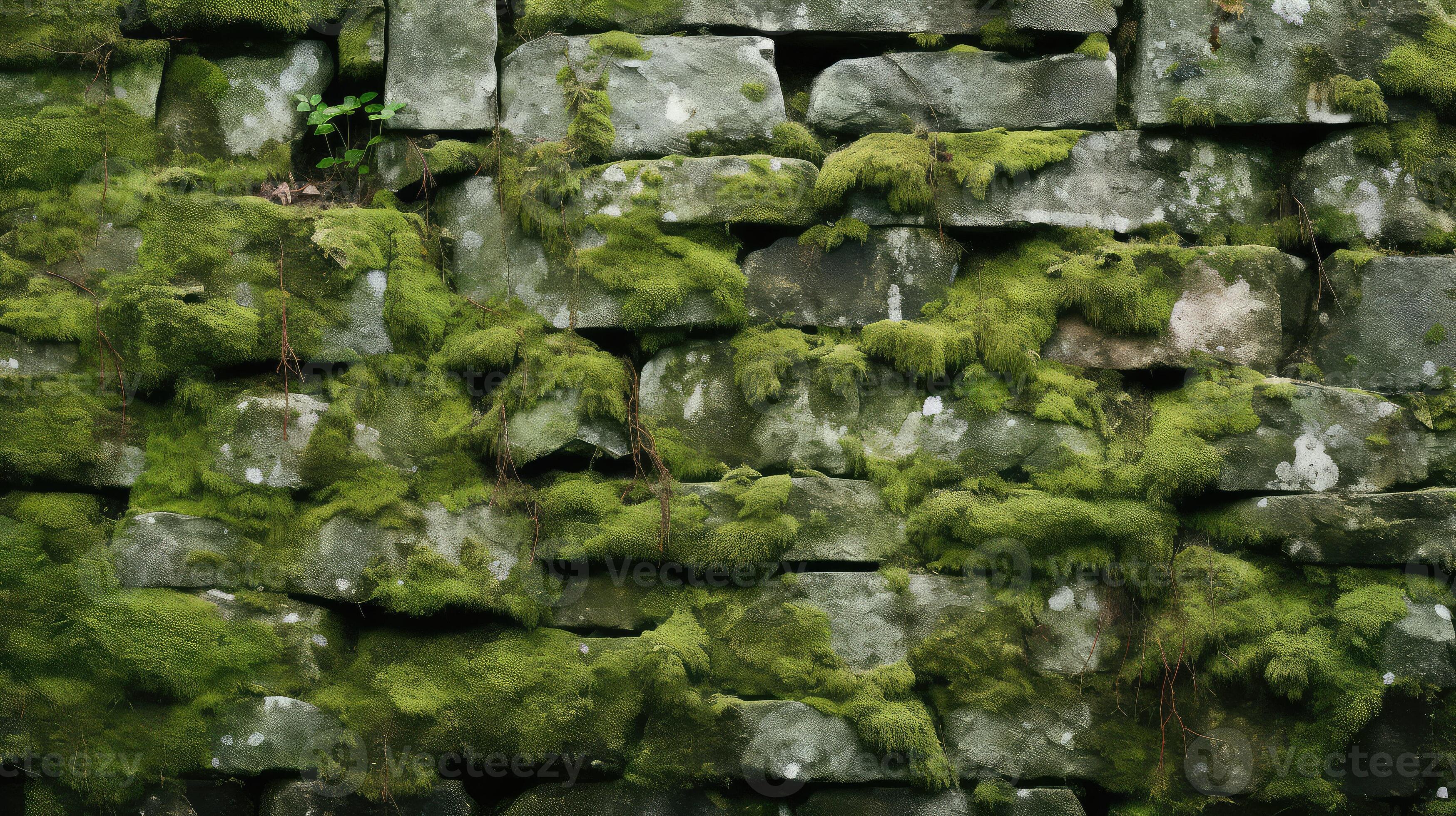 aged stone wall abstract 56064631 Stock Photo at Vecteezy