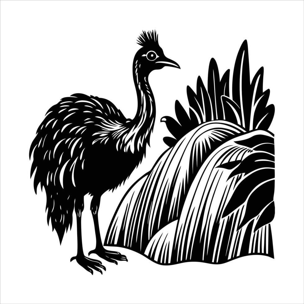 Cassowary Description Size 56084299 Vector Art at Vecteezy Cassowary Description Size 56084299 Vector Art at Vecteezy