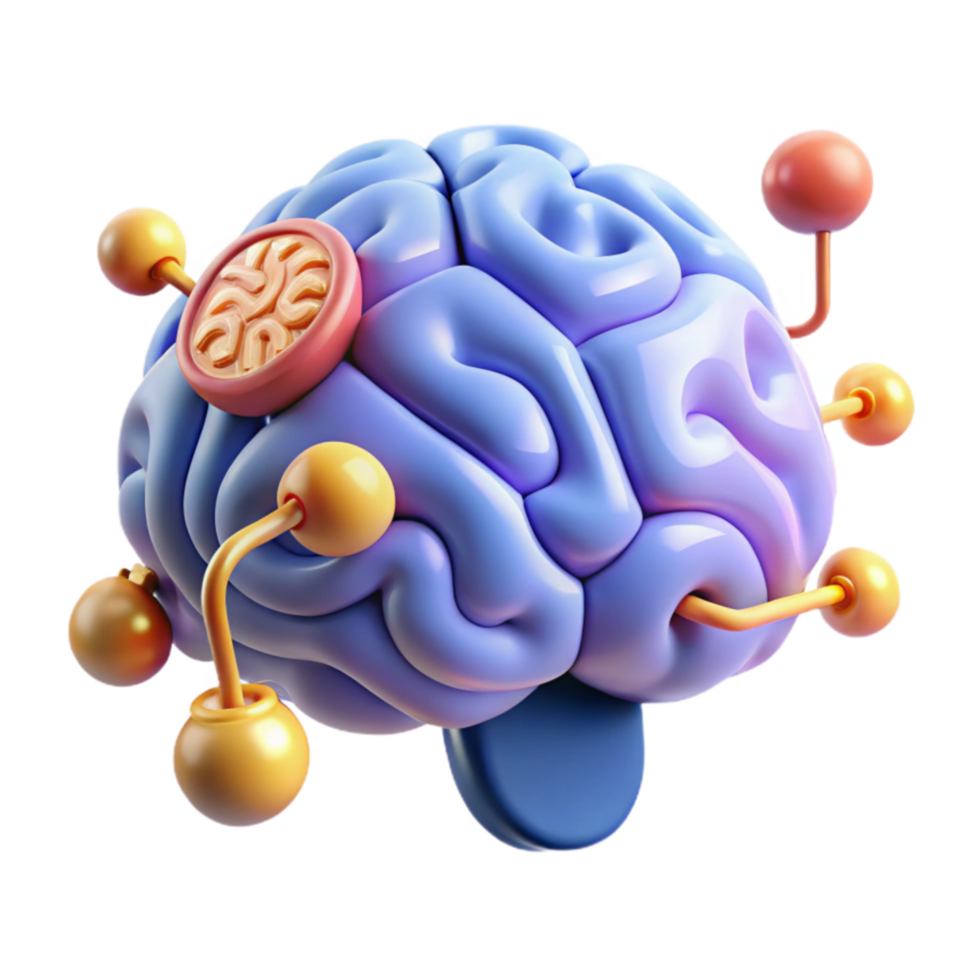 Human Brain Neural Connections Cognitive Function 56086827 Png