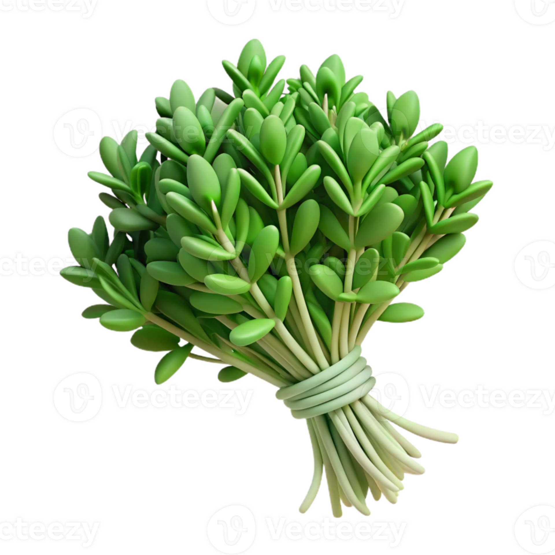 Fresh Green Herb Bunch, Culinary Herbs, Healthy Eating 56086962 PNG