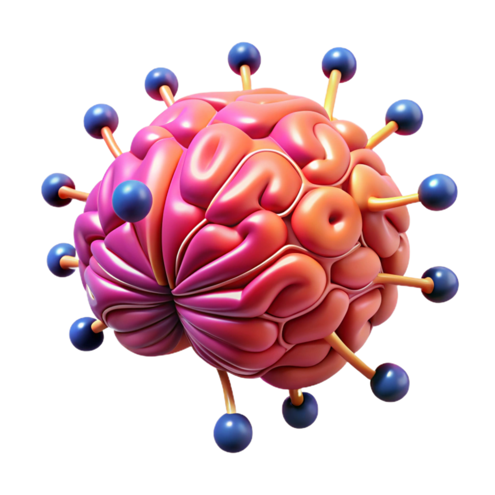 Brain Connectivity Neural Pathways Cognitive Function 56088916 Png