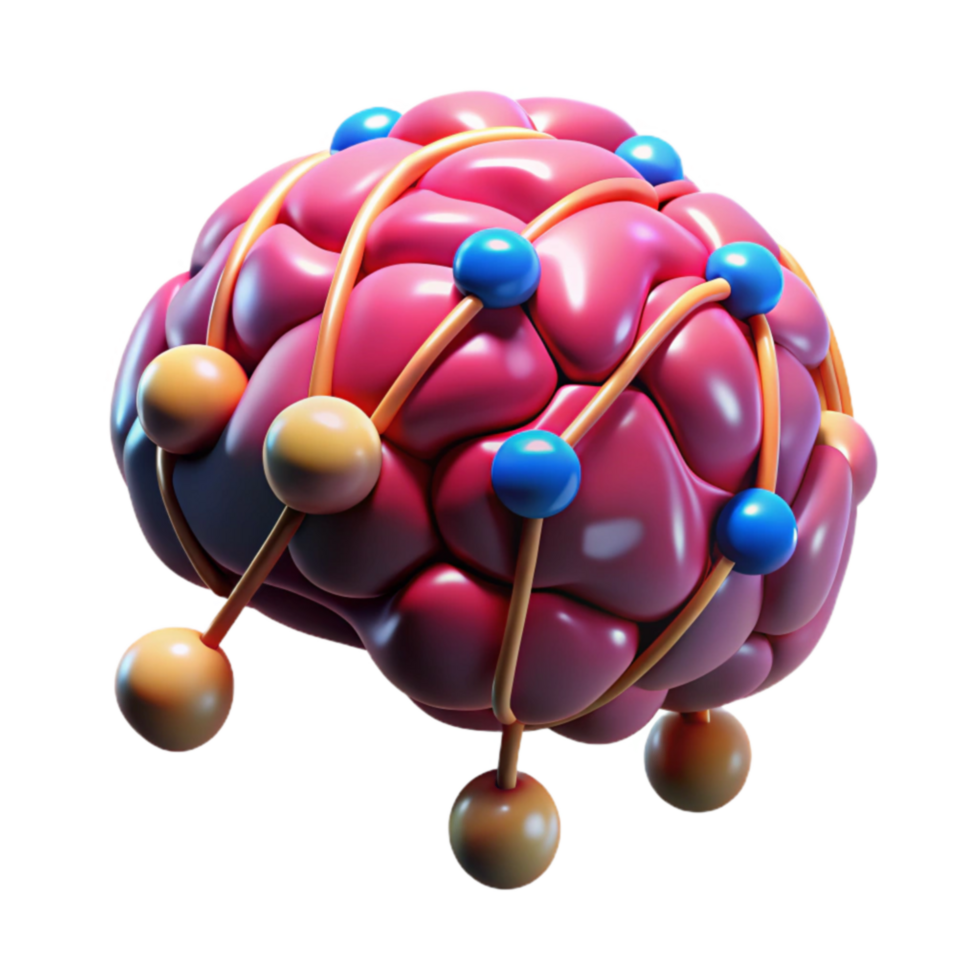 Brain Network Connections Cognitive Function 56088937 Png