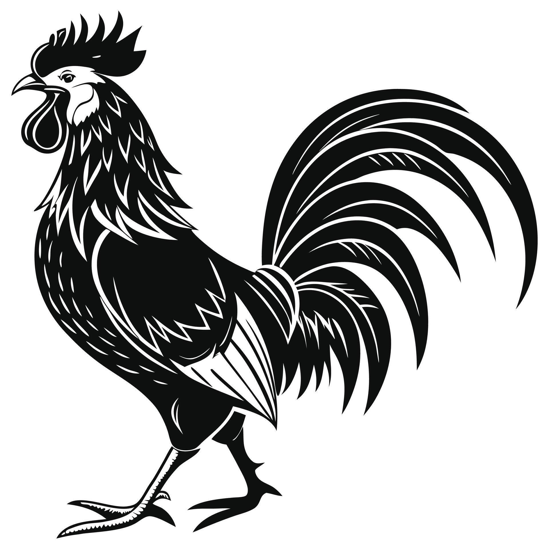 Rooster silhouette on white background 56168591 Vector Art at Vecteezy