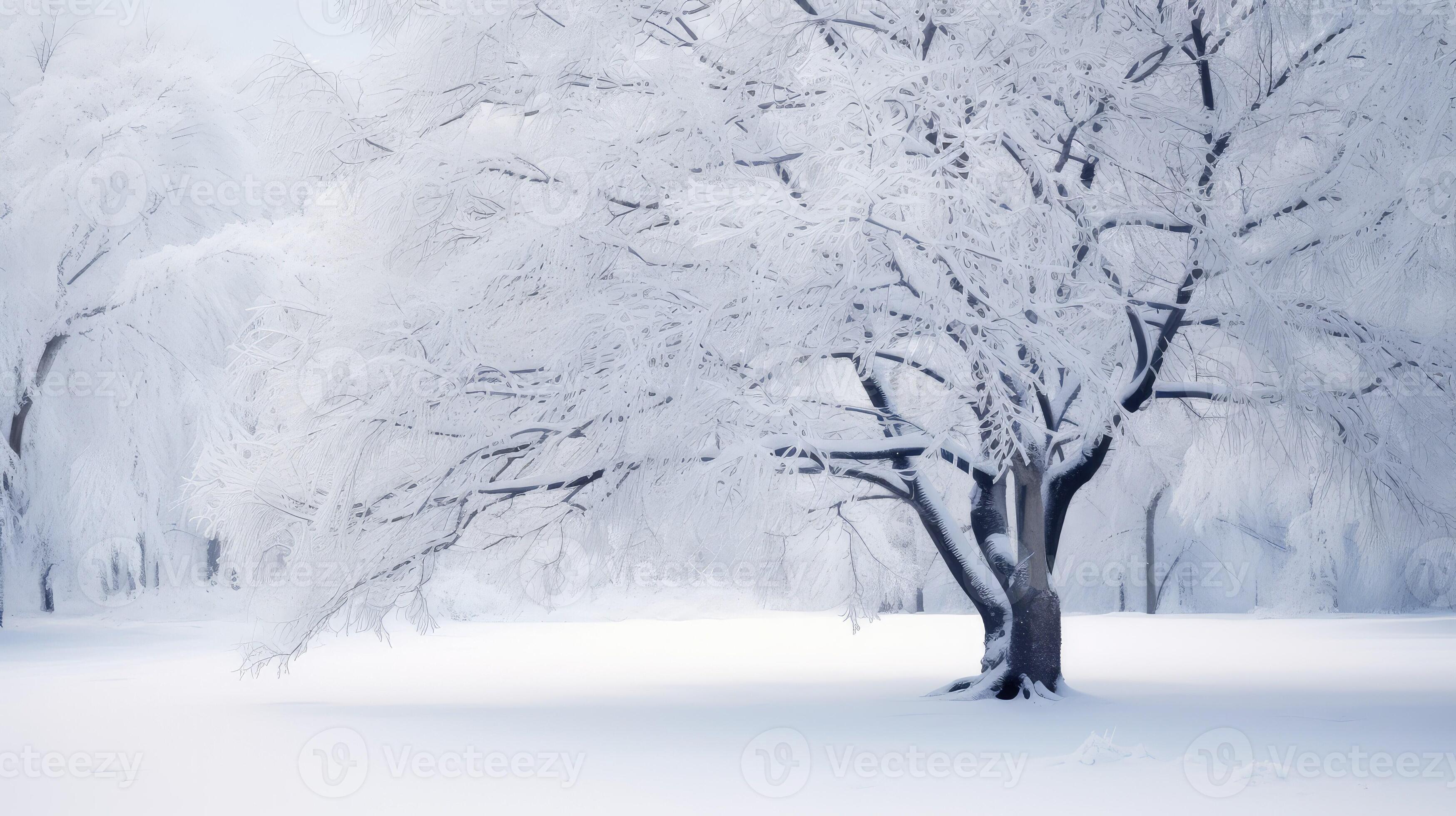 branches snow tree background 56174623 Stock Photo at Vecteezy