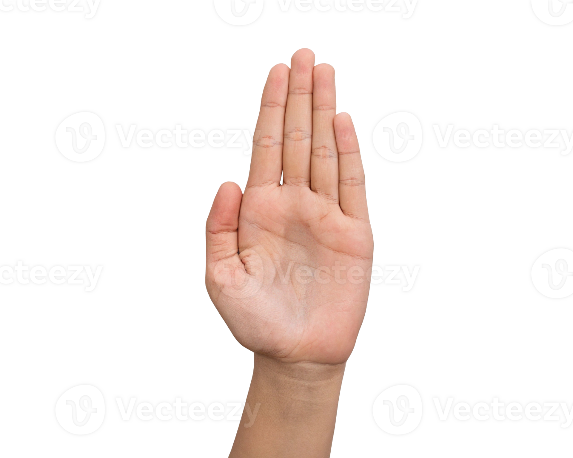 close up of open palm gesture Transparent Background, Generated with AI 56230013 PNG