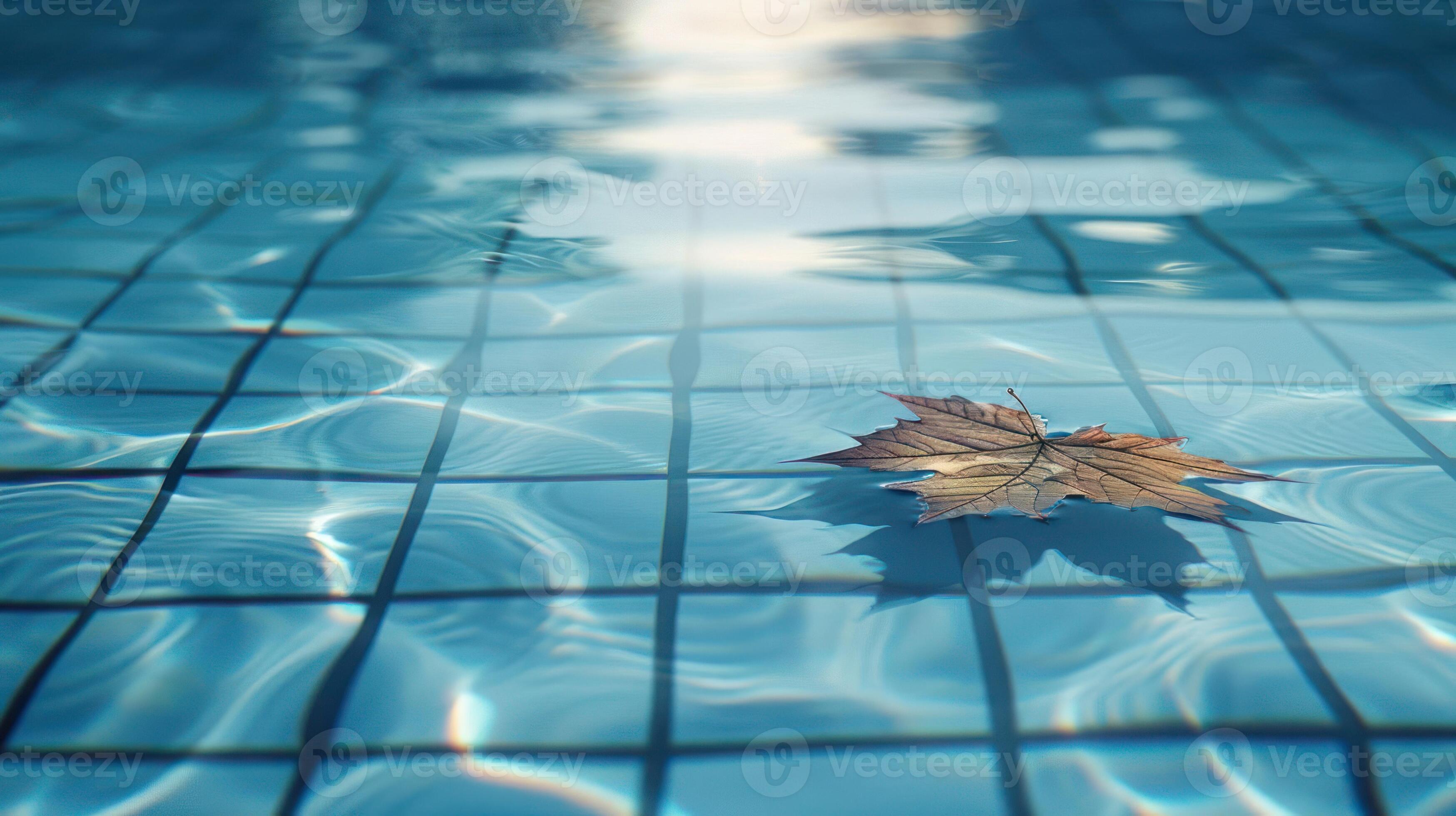 A serene autumn scene with a single leaf floating on a tranquil pool, reflecting ripples and ...