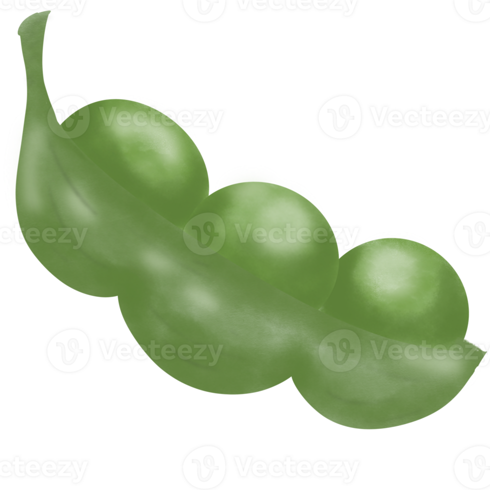 Green peas illustration so fresh 56360957 PNG