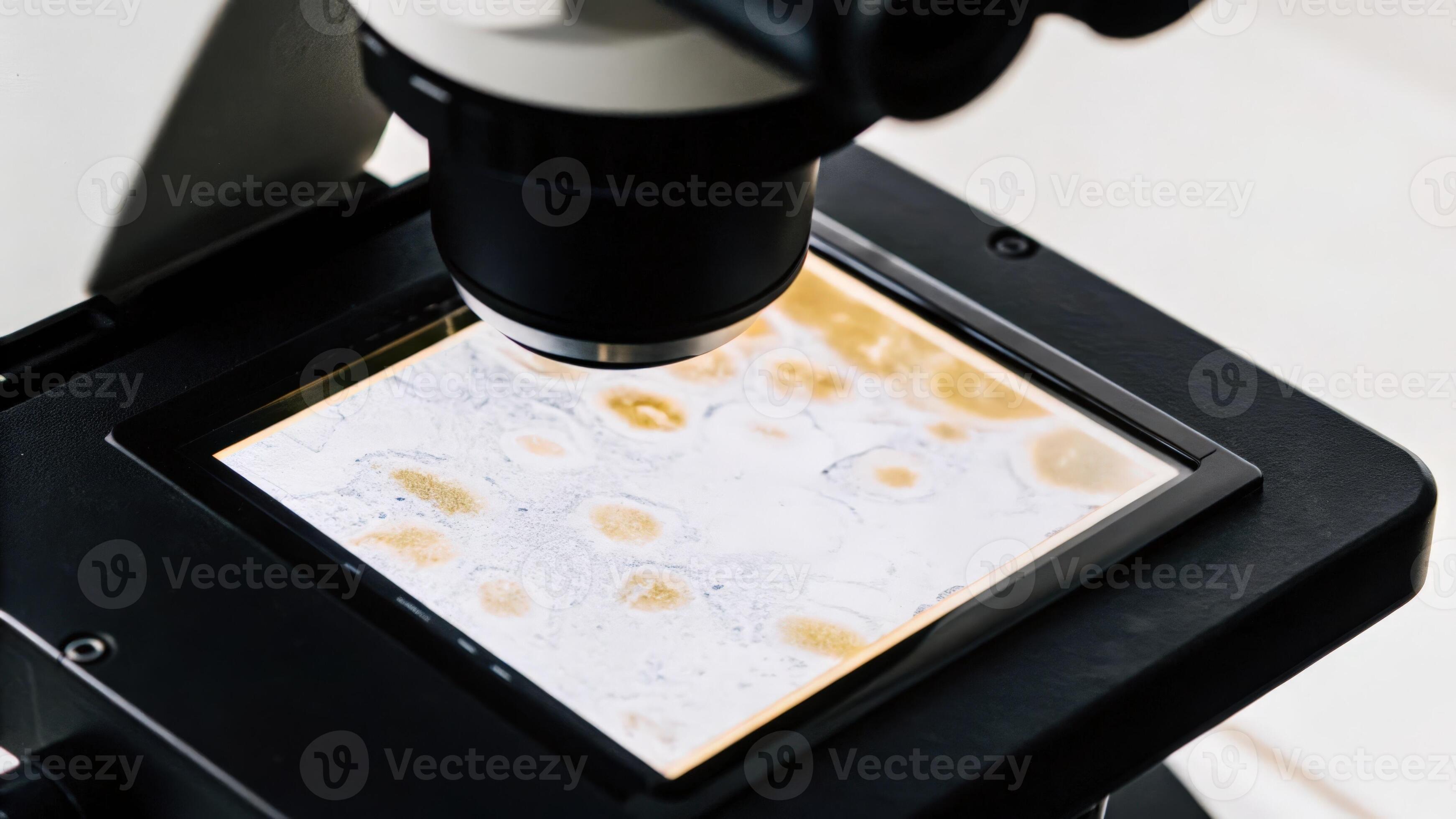 A microscope eyepiece capturing the view of edited cells with a display showing realtime imaging ...