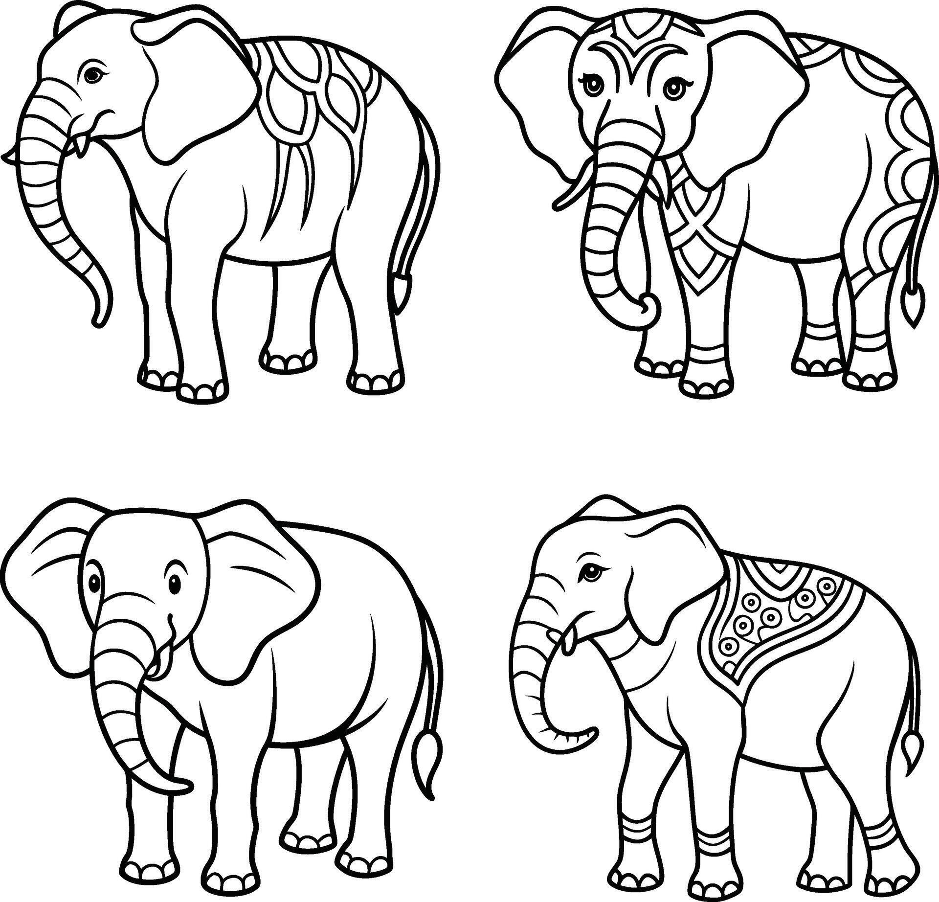 Wild Animal Elephant Coloring Pages for Kids 56471104 Vector Art at Vecteezy