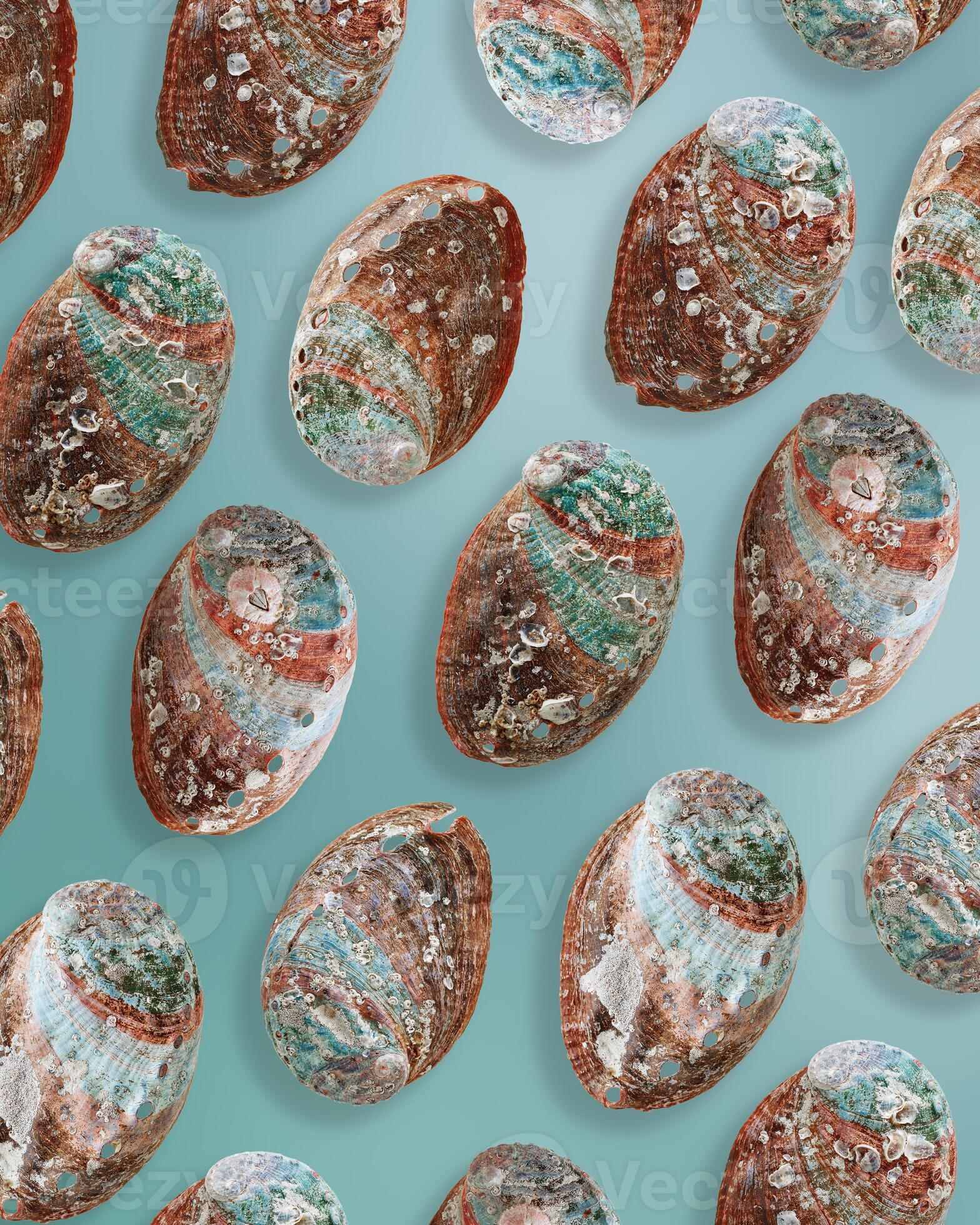Repeated pattern of abalone seashells on turquoise background. Natural Shells with of earthy ...