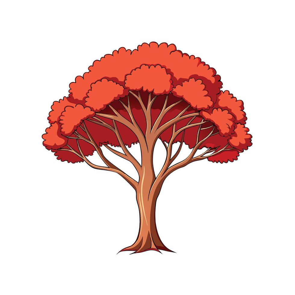 Bold Crepe Myrtle Tree Illustration On White Background 56541931 Vector
