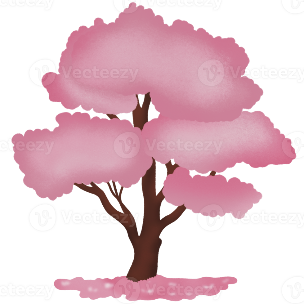 Cherry Tree Spring 56702898 PNG