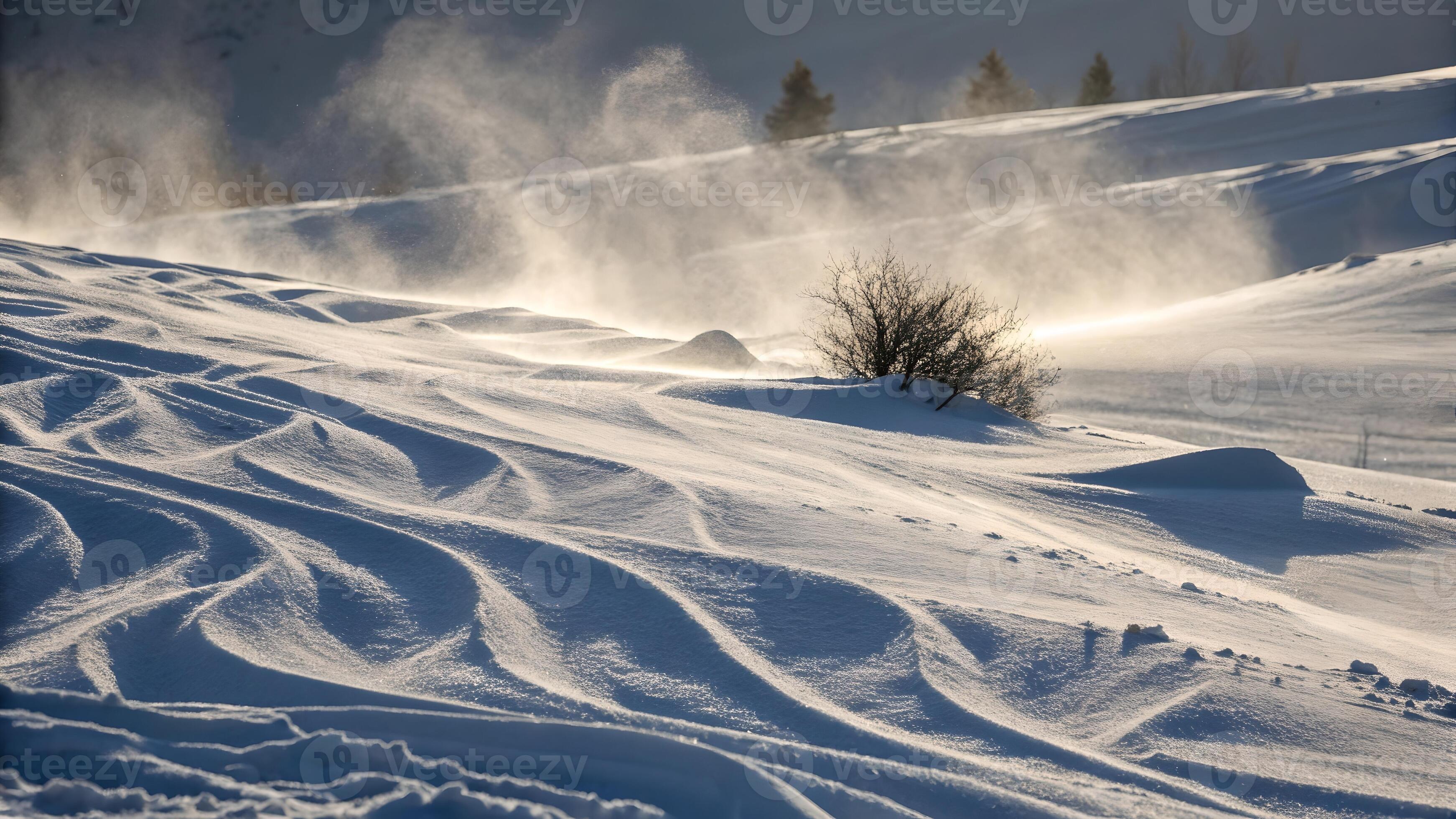 Windswept Winter Landscape Snow Drifts and Drifting Snow in a Sunlight ...