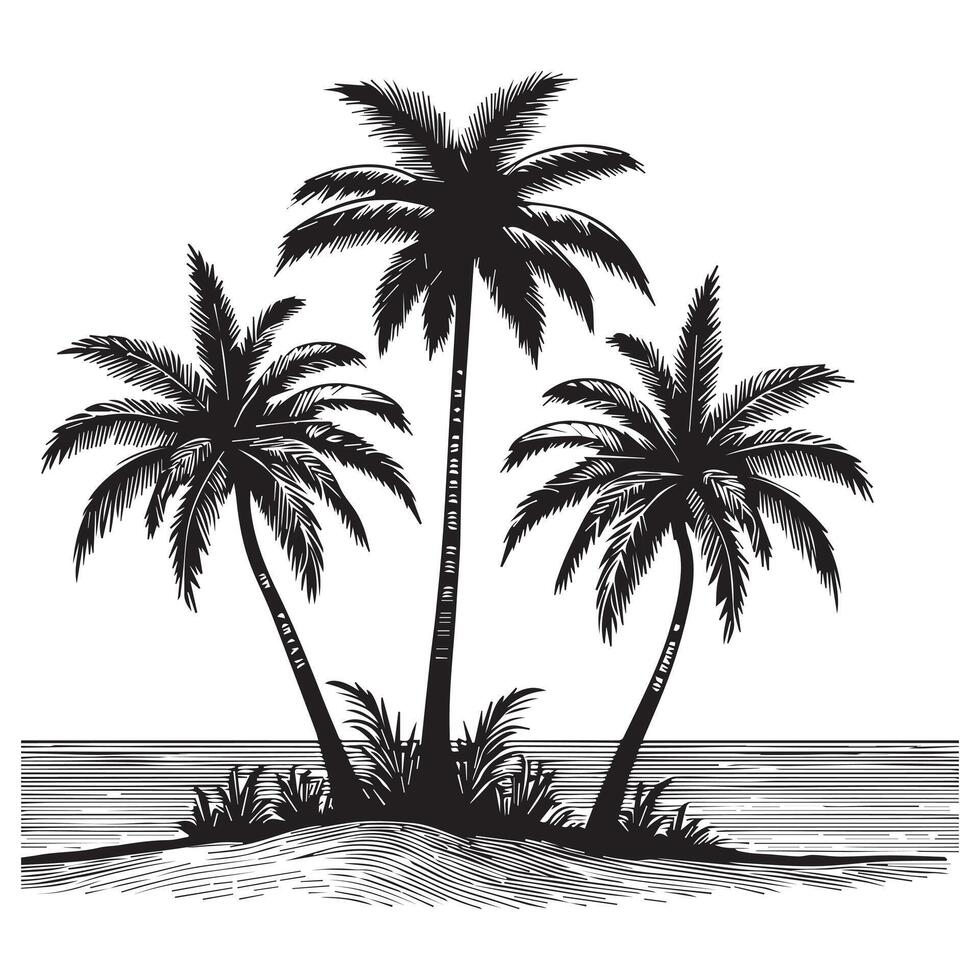 Beautifully Detailed Palm Tree Drawing 56809745 Vector Art at Vecteezy Beautifully Detailed Palm Tree Drawing 56809745 Vector Art at Vecteezy