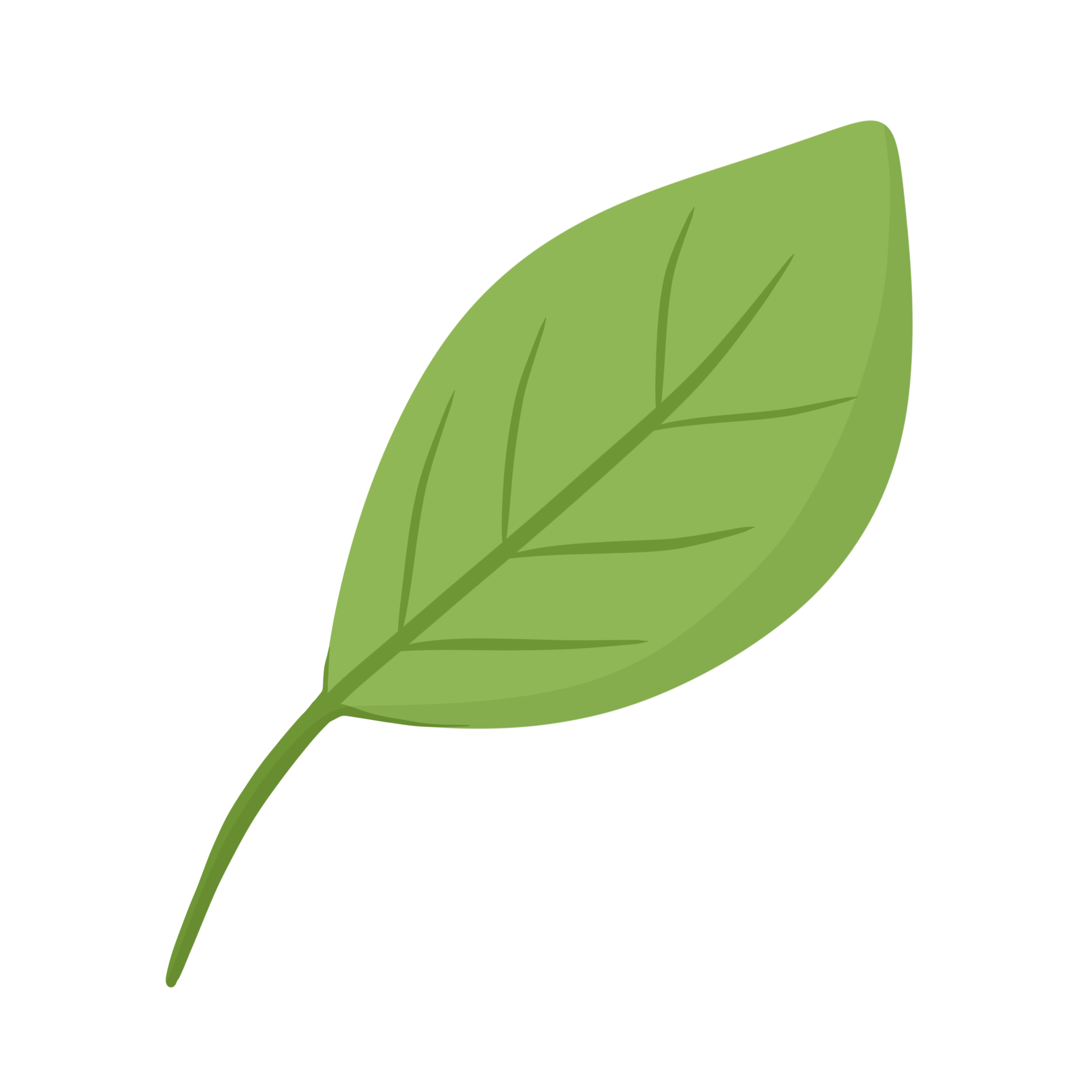 simple green leaf illustration. cartoon leaf plant element 57063988 PNG