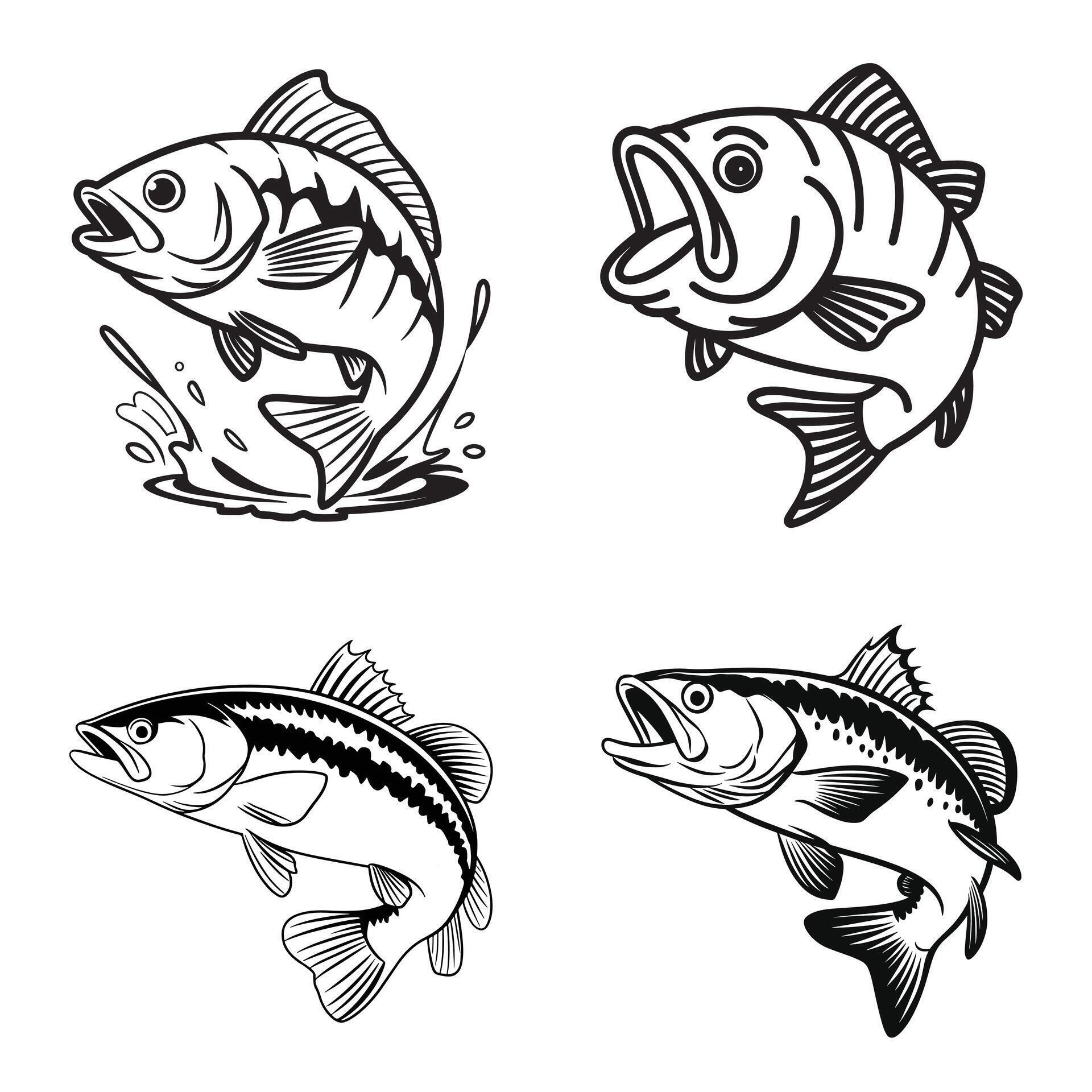 Set of high quality fish illustration 57064810 Vector Art at Vecteezy