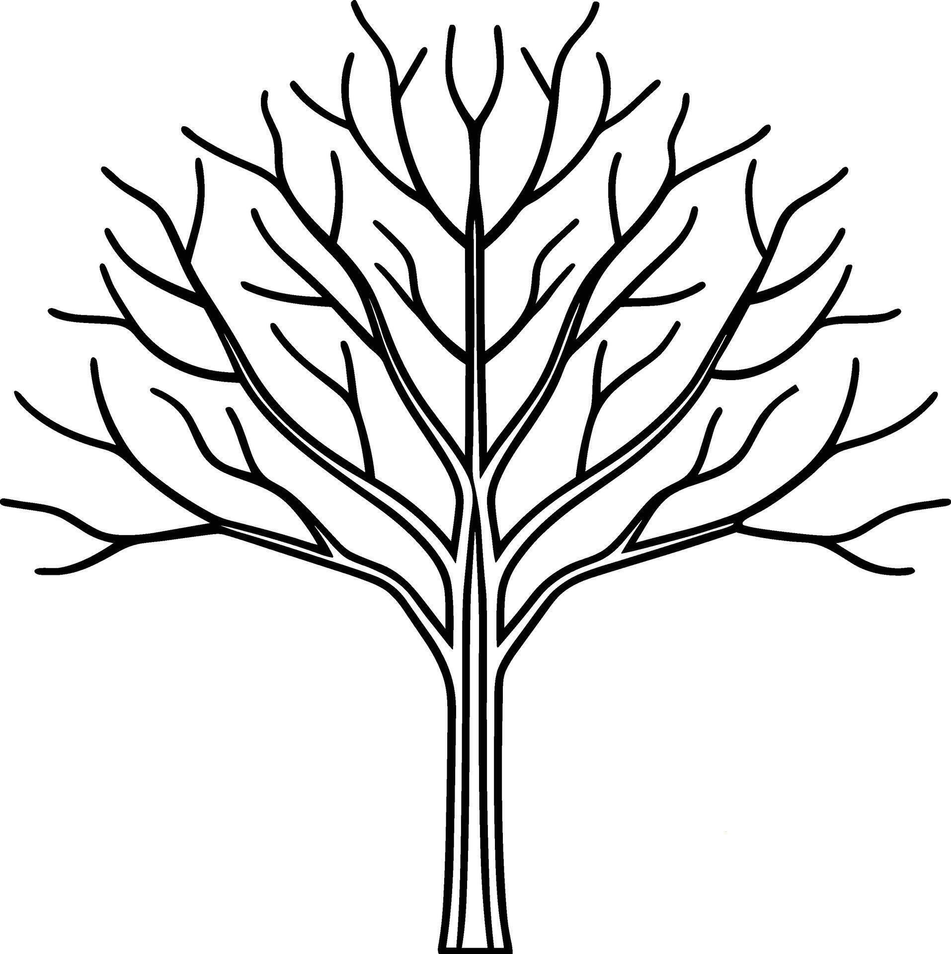 Elegant Bare Tree Line Art - Minimalist Leafless Tree Illustration 57128079 Vector Art at Vecteezy