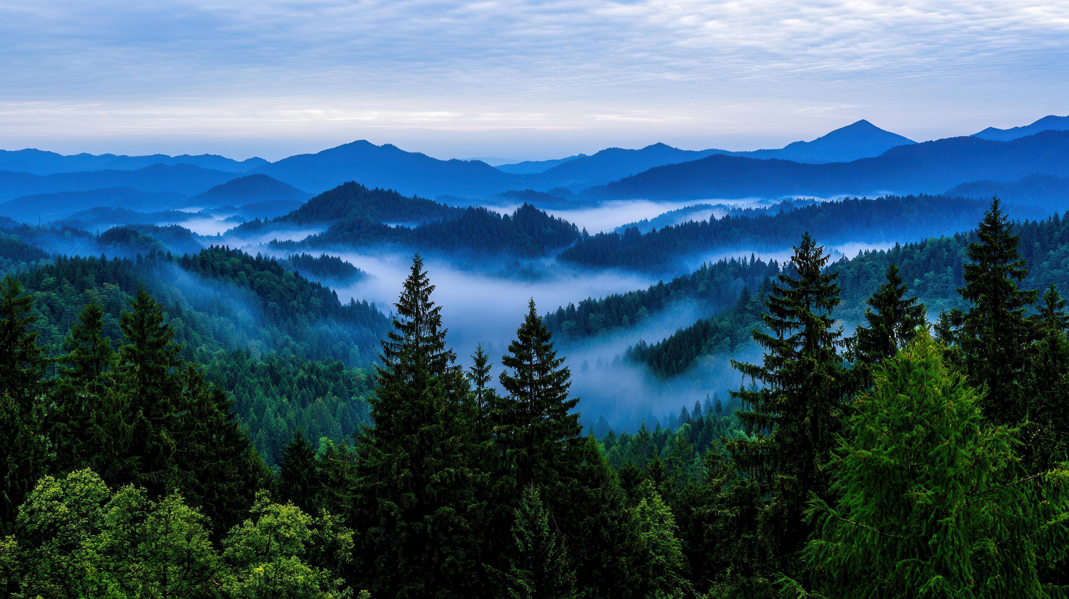 Majestic Mountain Range with Misty Forest Landscape at Dawn Serene Nature Scene of Rolling Hills ...