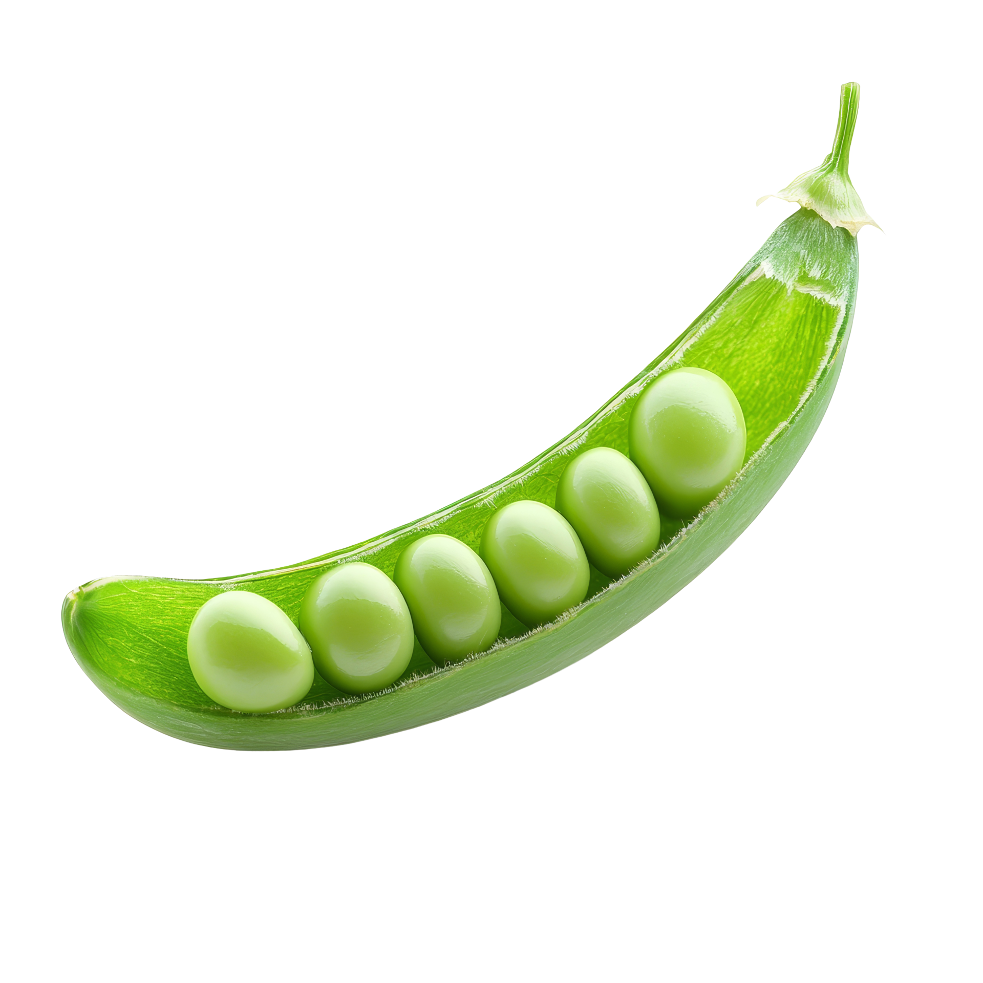 Fresh green pea pod with vibrant peas isolated on a clean transparent ...