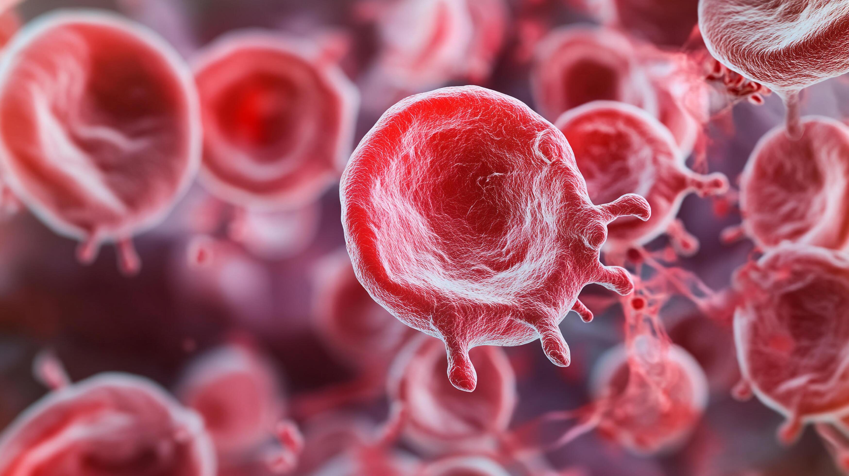 Close up of red blood cells with a red blob in the middle. The red blob is a cell that is not ...