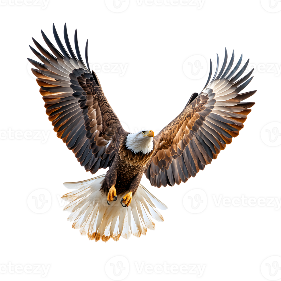 Majestic Bald Eagle in Flight Against Transparent Background 57236867 PNG Majestic Bald Eagle in Flight Against Transparent Background 57236867 PNG