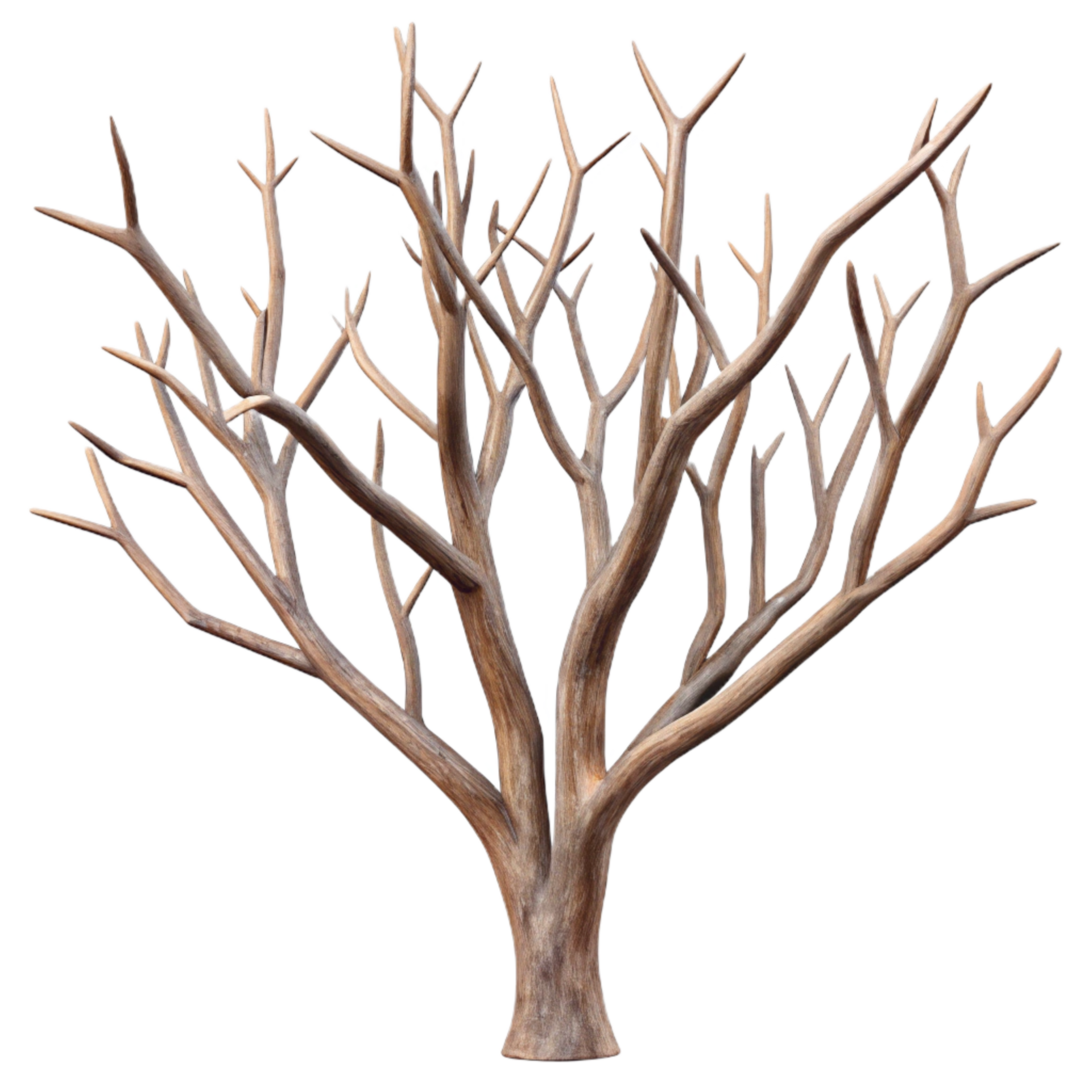 magnificent creative Bare Tree Branches Transparent Background detailed ...