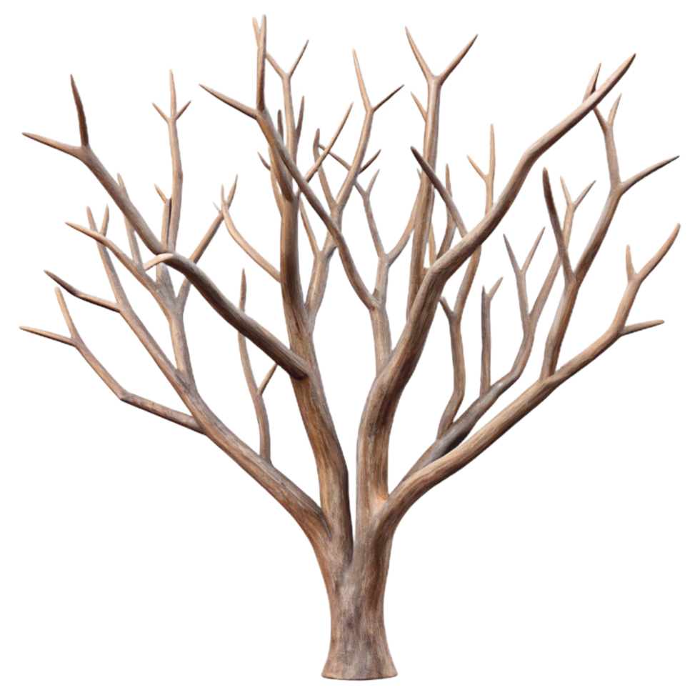 magnificent creative Bare Tree Branches Transparent Background detailed ...
