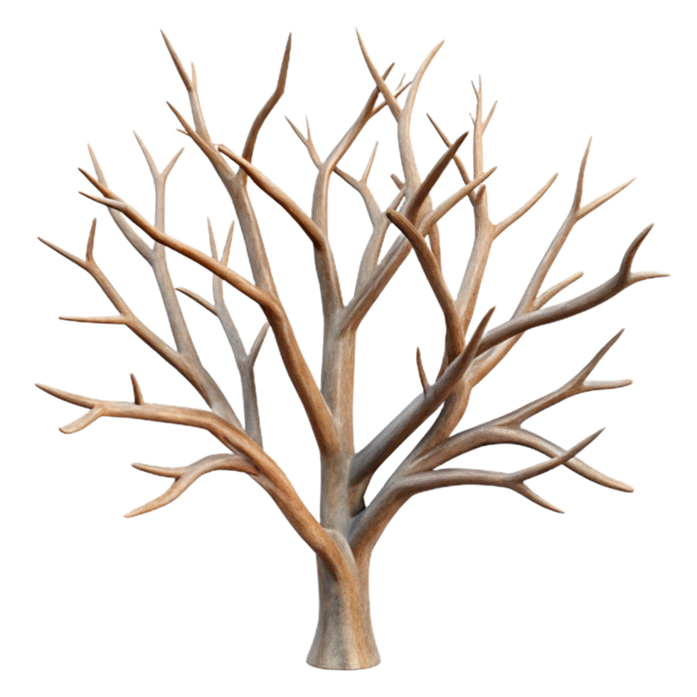 stunning modern Bare Tree Branches Transparent Background premium ...