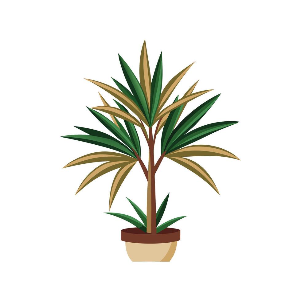 Stunning Dracaena Marginata Adding Elegance 57391357 Vector Art at Vecteezy Stunning Dracaena Marginata Adding Elegance 57391357 Vector Art at Vecteezy