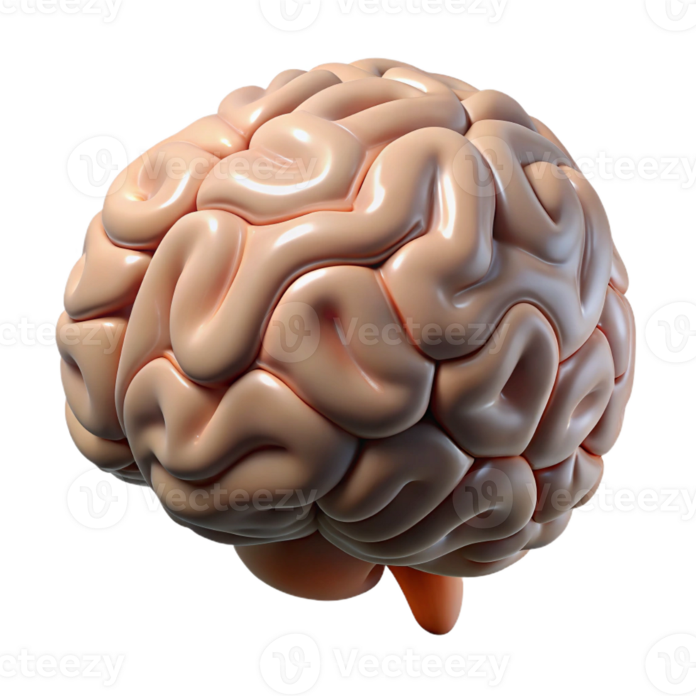 stunning abstract Human Brain Side View Isolated exclusive 57442509 PNG stunning abstract Human Brain Side View Isolated exclusive 57442509 PNG