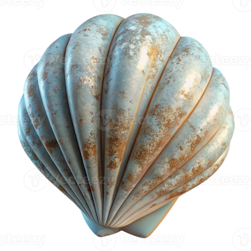 dramatic modern Detailed Seashell Texture Cutout exclusive 57557165 PNG dramatic modern Detailed Seashell Texture Cutout exclusive 57557165 PNG
