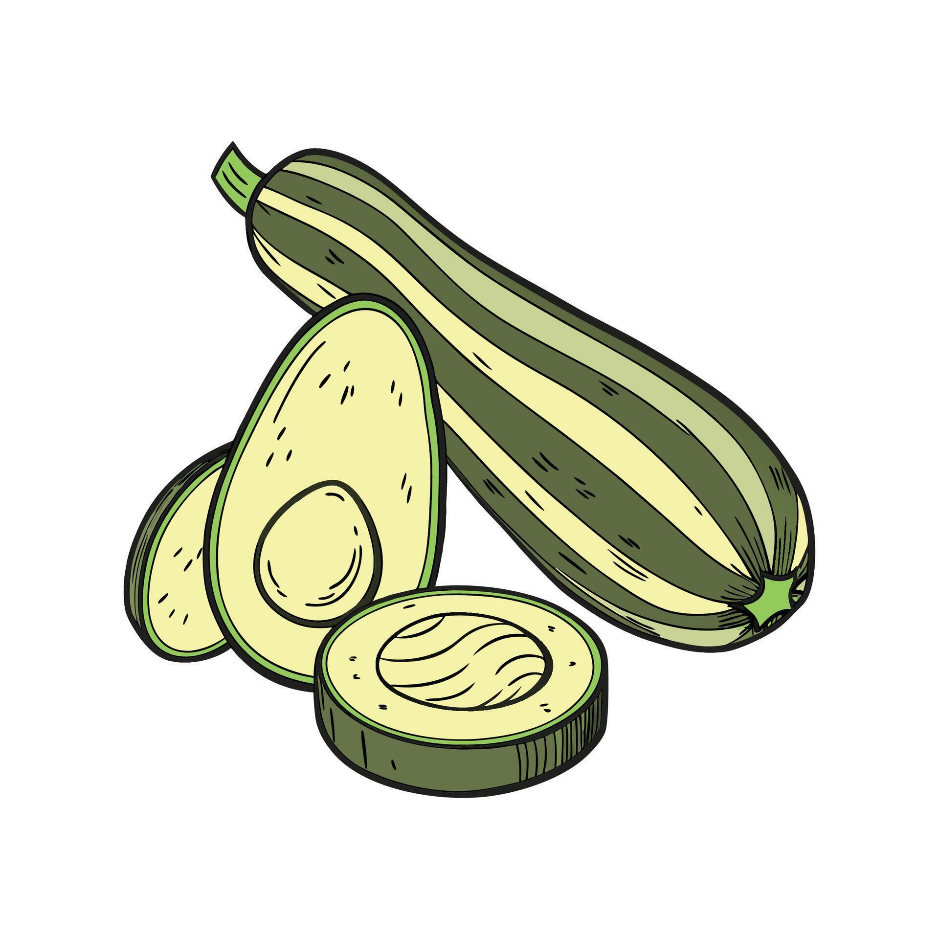 Wholesome Zucchini Avocado Puree Culinary Illustration 57693990 Vector Art at Vecteezy
