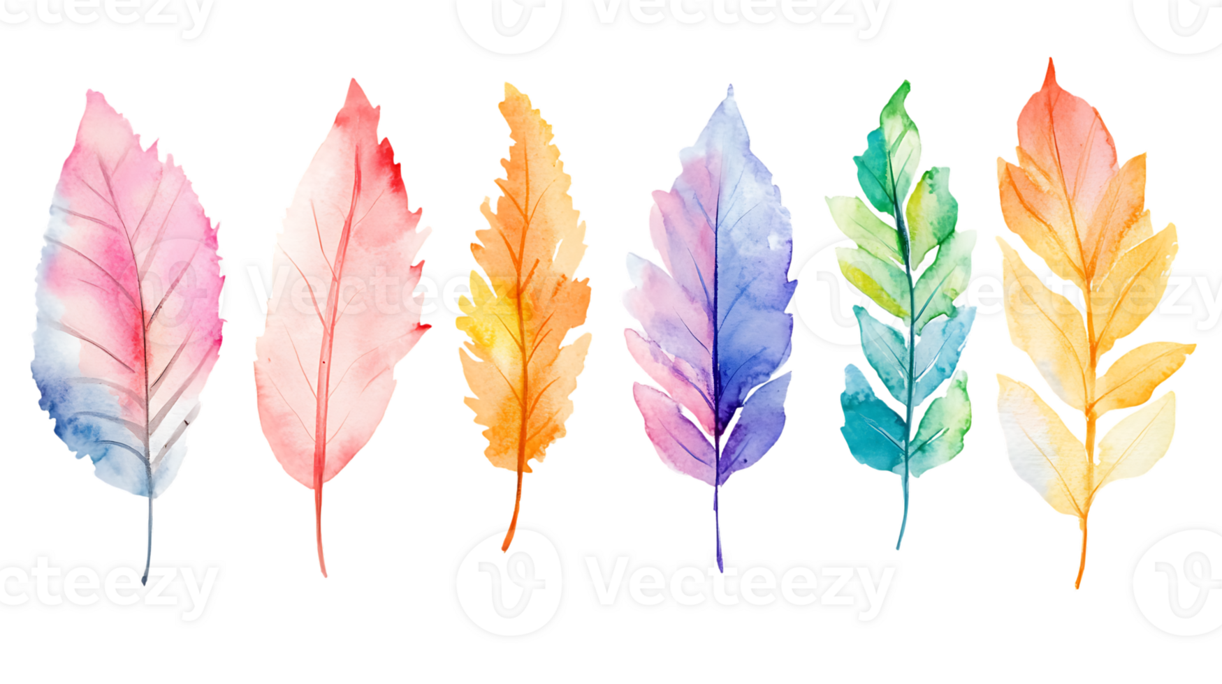 Watercolor feather clipart 57728707 PNG