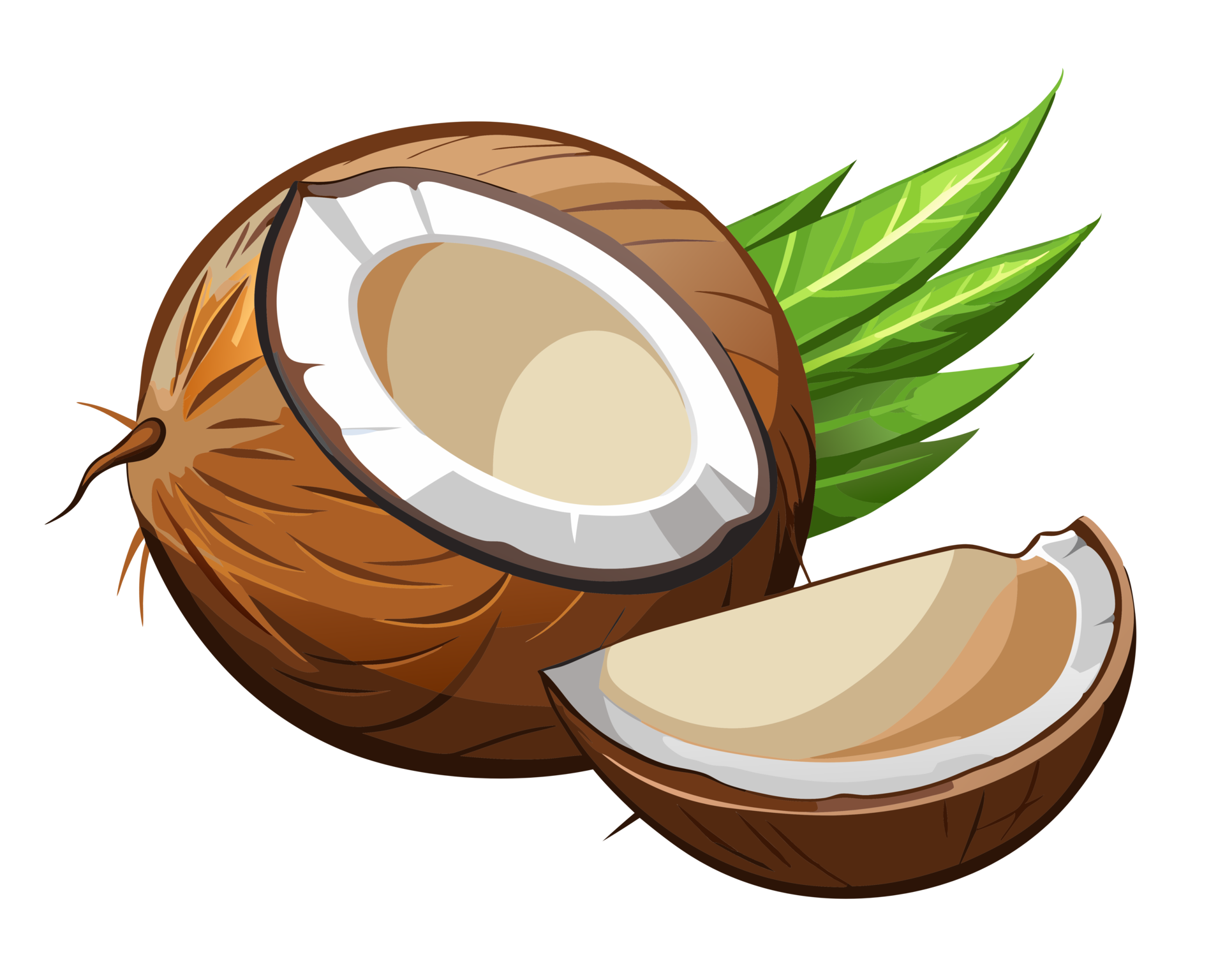 Coconut cut in half dynamically flying on transparent background ... Coconut cut in half dynamically flying on transparent background ...