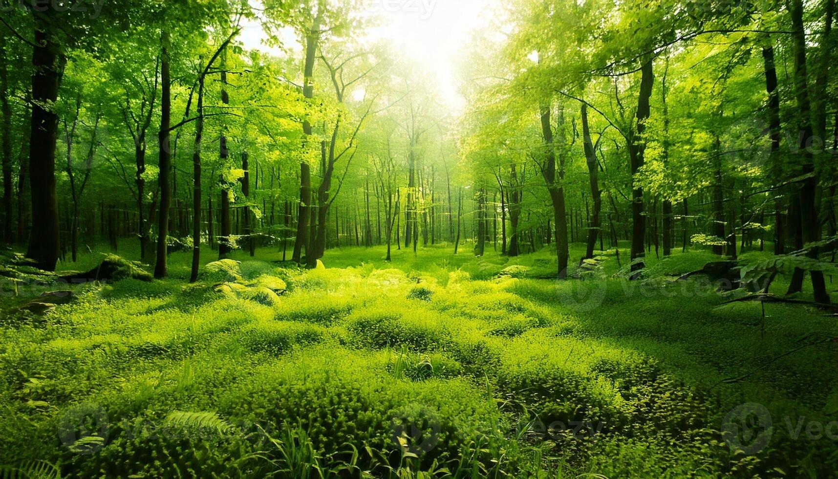 Green forest wallpaper hd wallpaper 57773742 Stock Photo at Vecteezy