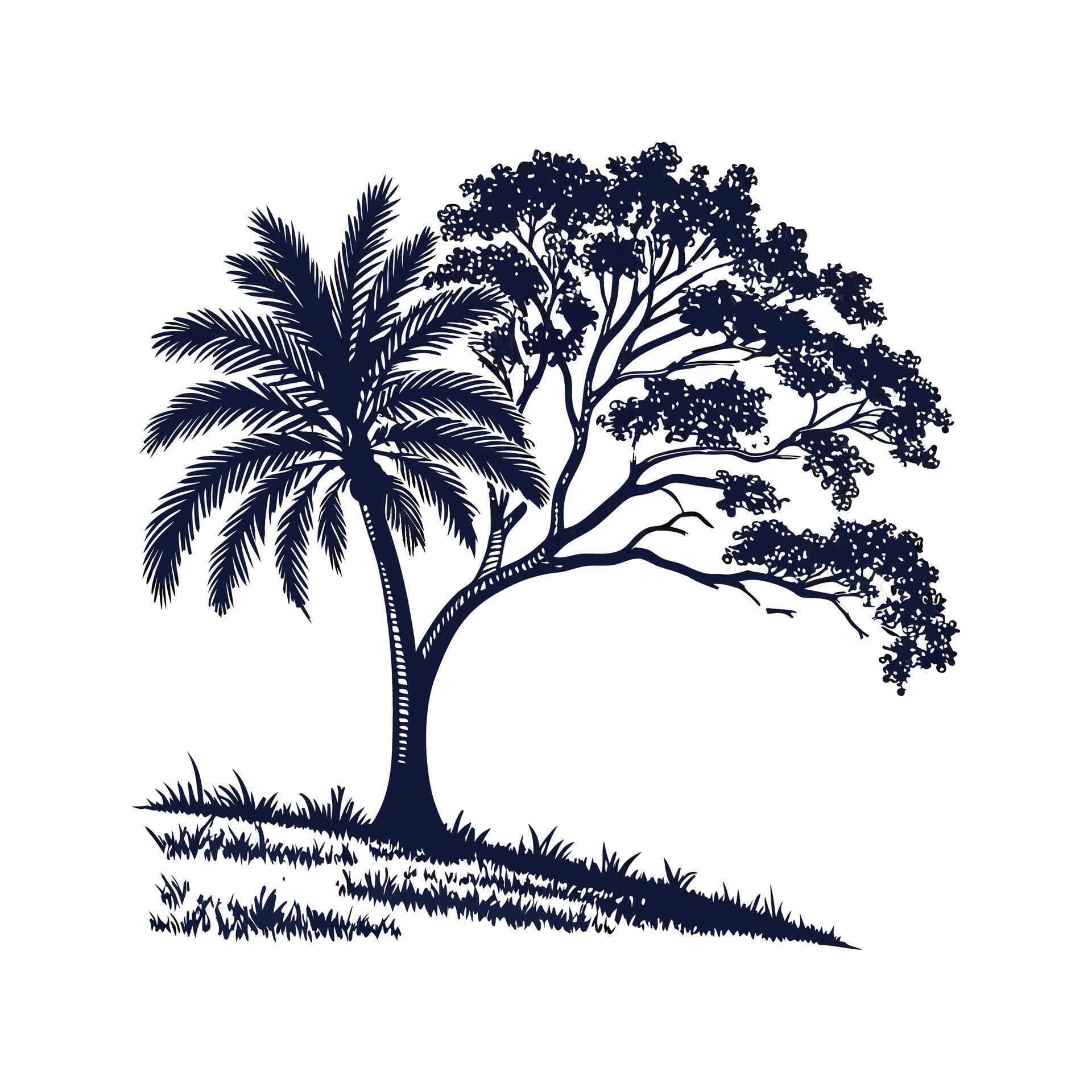 Stylish Queen Palm Tree Bold Outline Art 57812606 Vector Art at Vecteezy