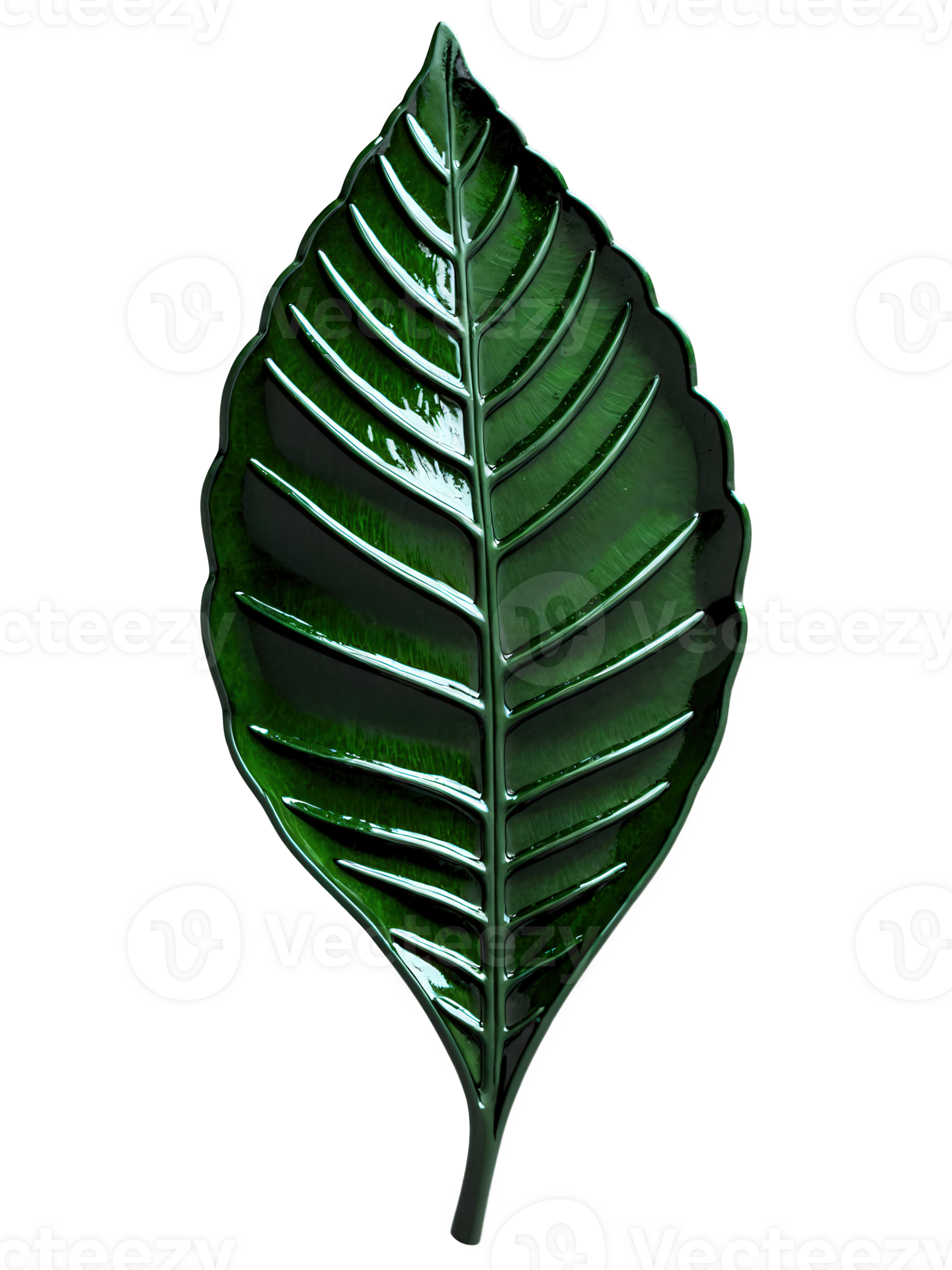 Cast iron plant leaf, deep glossy green, rotating display, ultra sharp detail, transparent ...