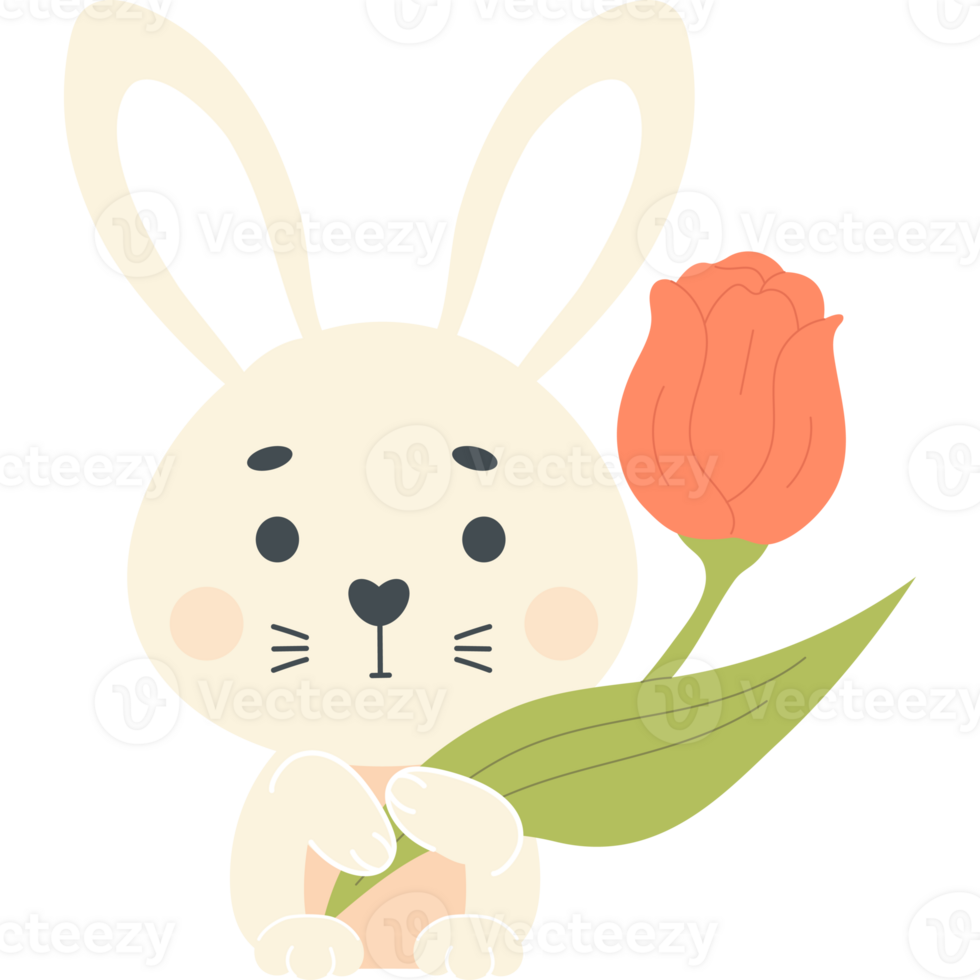 Cute Rabbit Animal with Tulip Flower 57831396 PNG