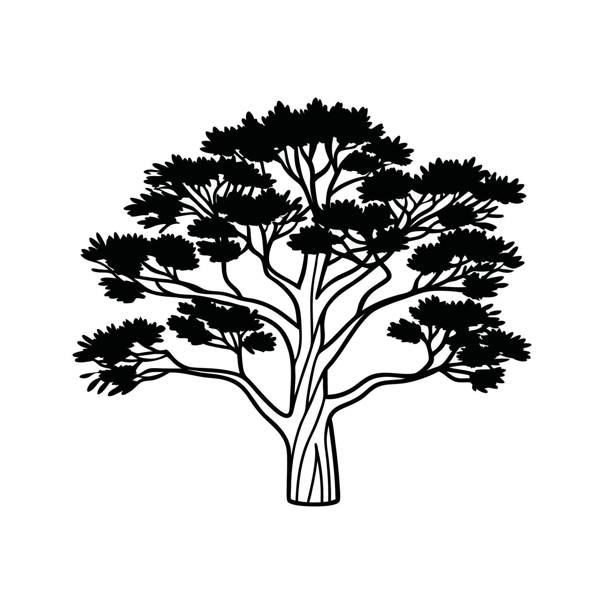 Artistic Outline of Arizona Cypress Tree 57956099 Vector Art at Vecteezy
