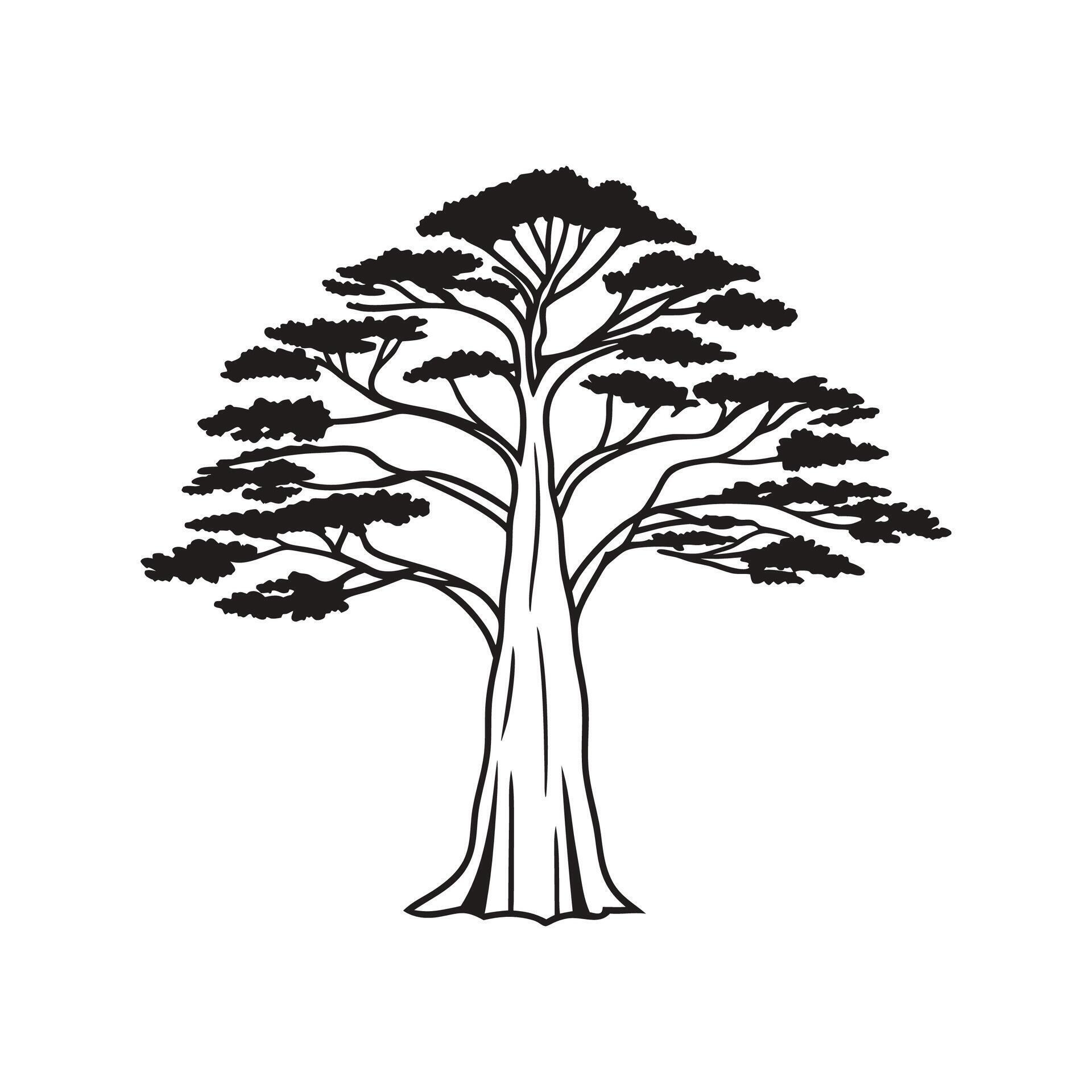 Outline Design of Bald Cypress Tree 57956123 Vector Art at Vecteezy