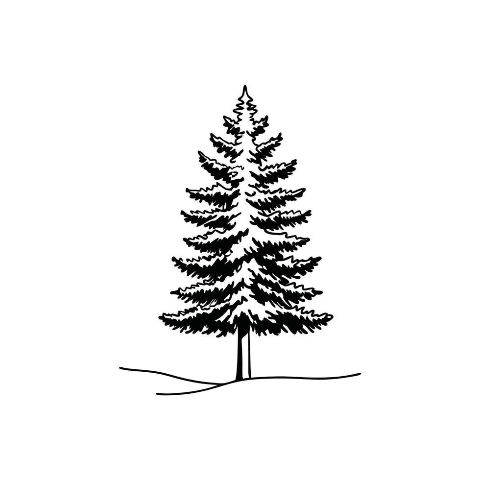 Creative Design of Pine Tree Outline. 57957060 Vector Art at Vecteezy