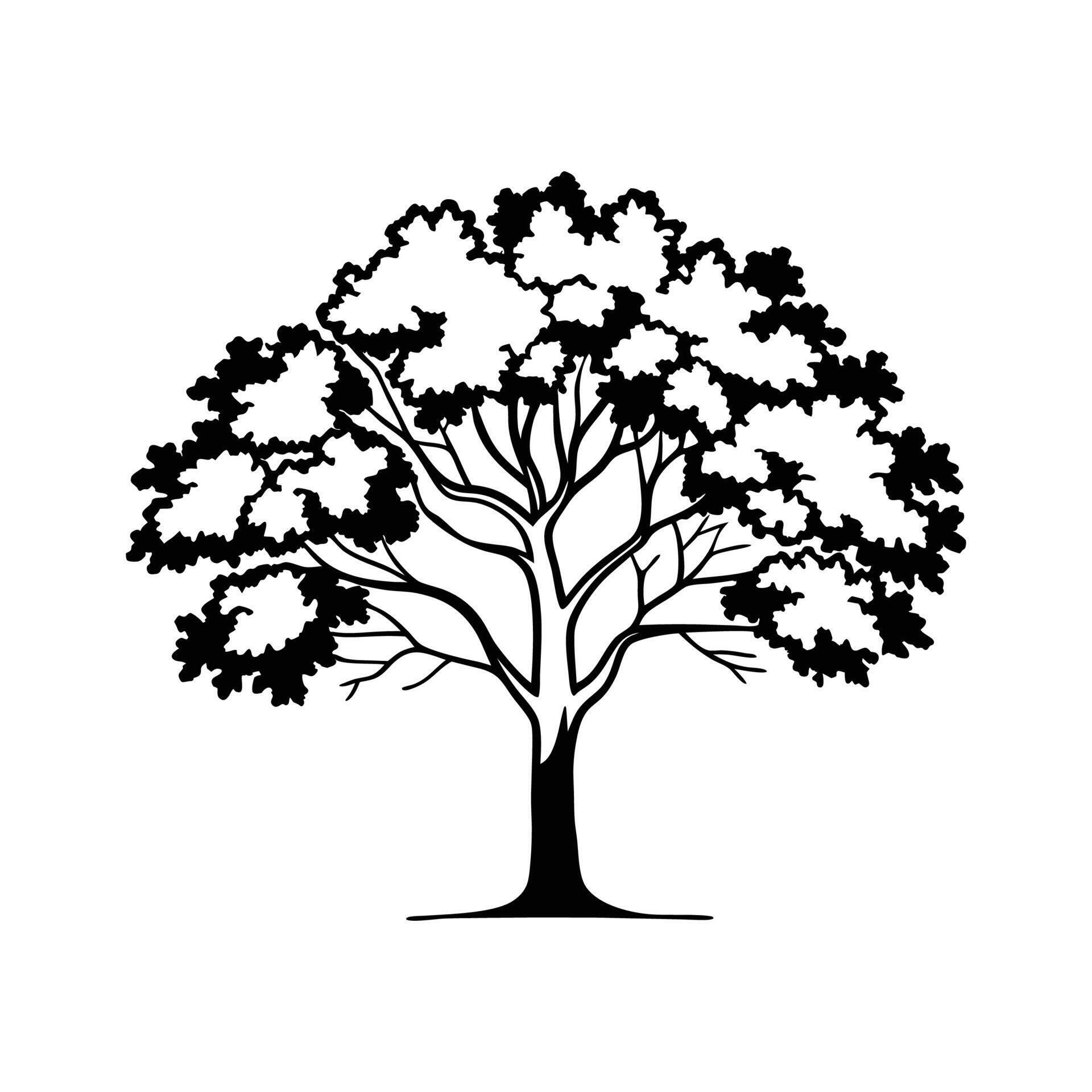 Charming Southern Sugar Maple Tree 57957279 Vector Art at Vecteezy