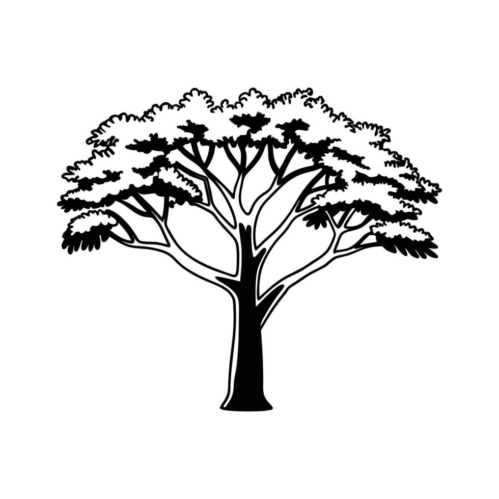 Charming Teak Tree Illustration 57957331 Vector Art at Vecteezy