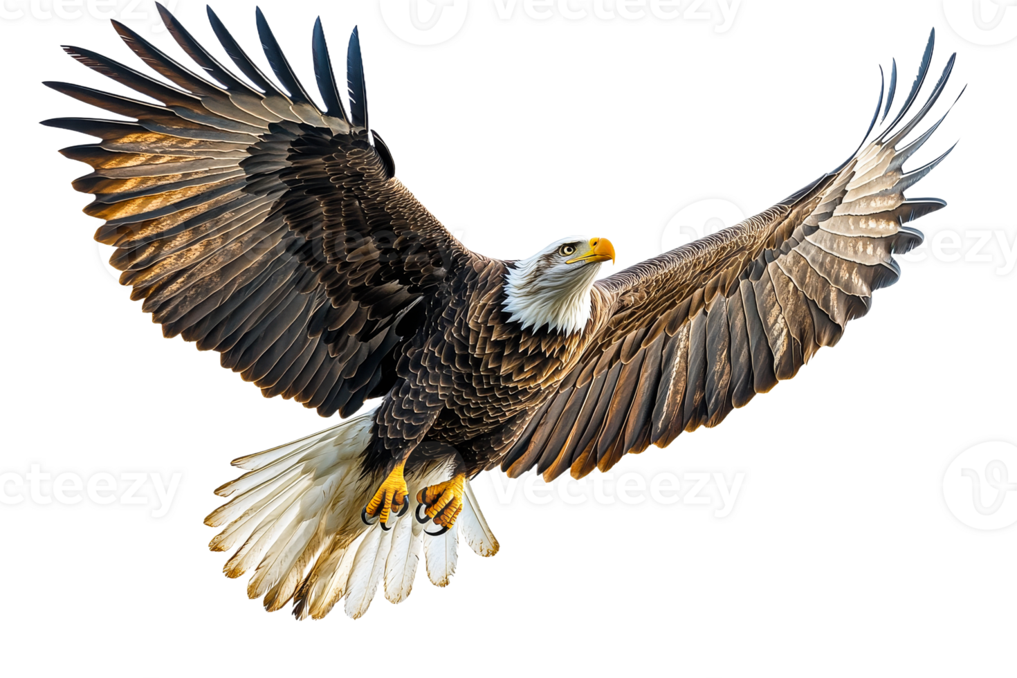 Eagle soaring over the landscape 58036439 PNG Eagle soaring over the landscape 58036439 PNG