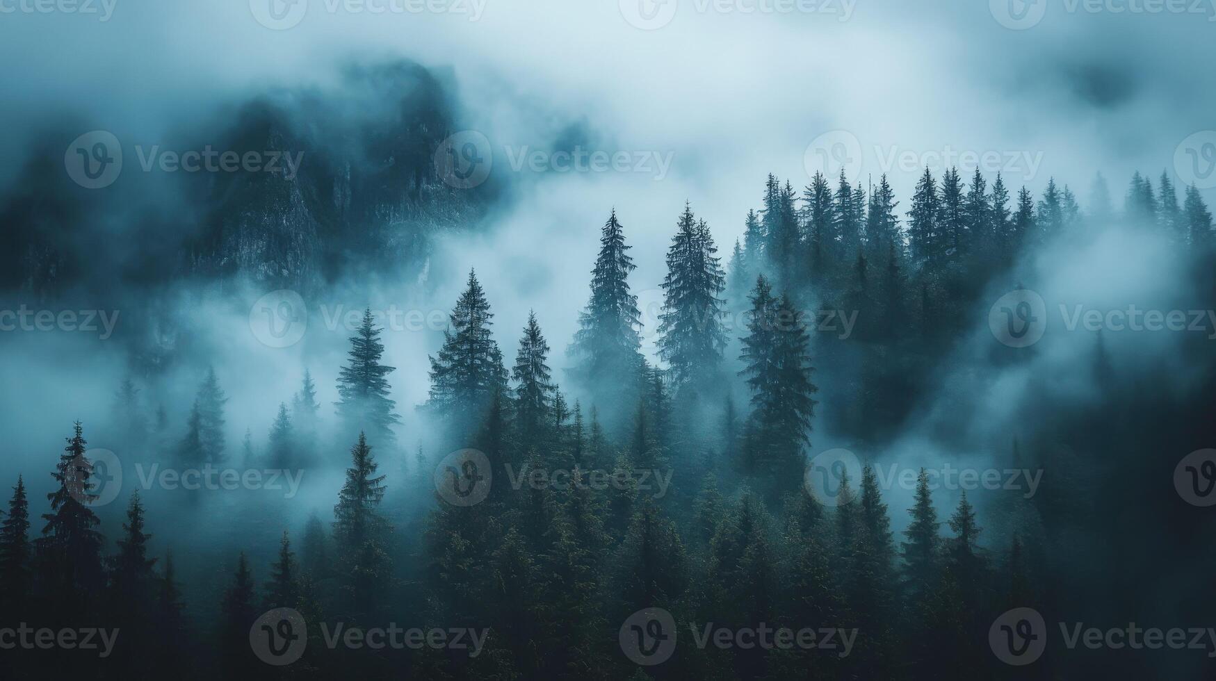 Fog envelops a dense forest creating a mysterious atmosphere 58081306 Stock Photo at Vecteezy
