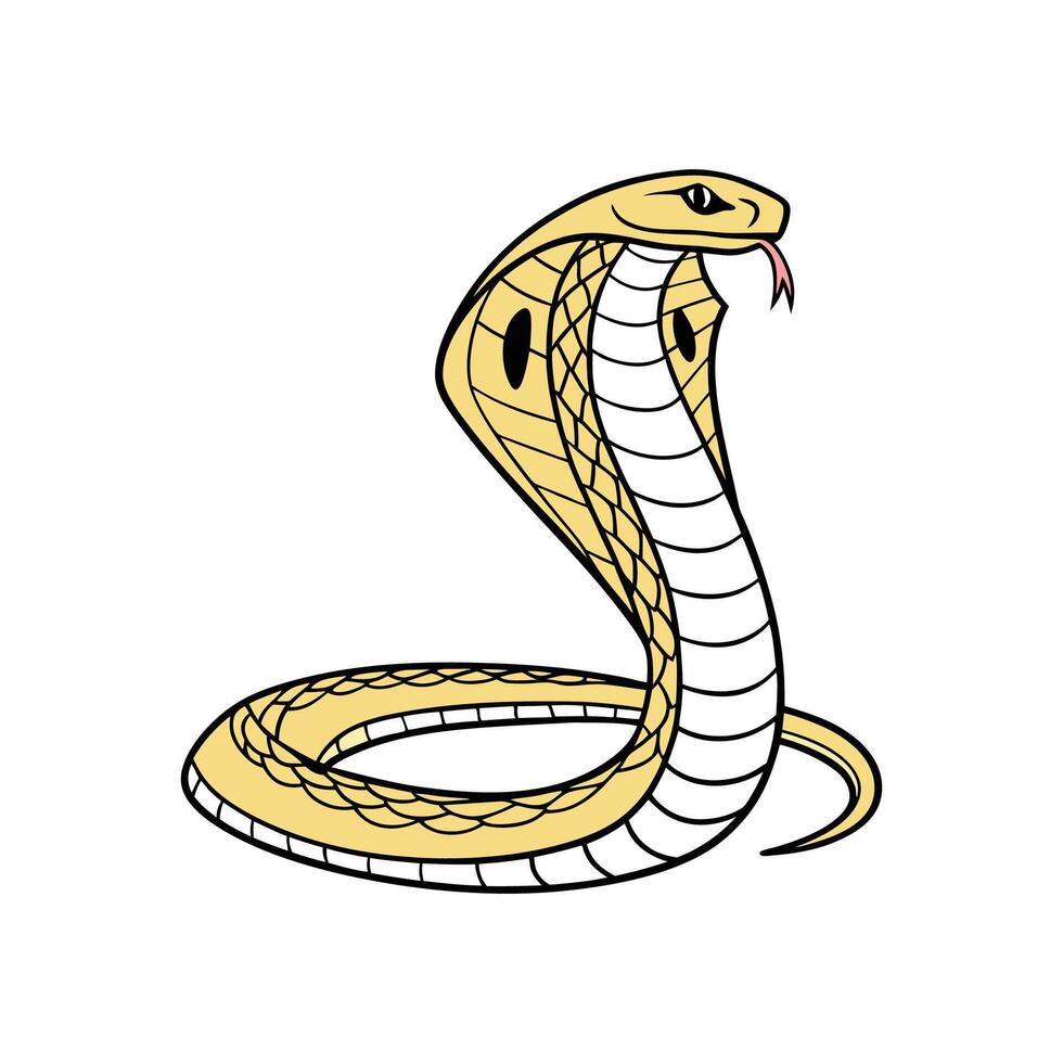 Lifelike Burmese Python Graphic. Reptile animal clipart design ...