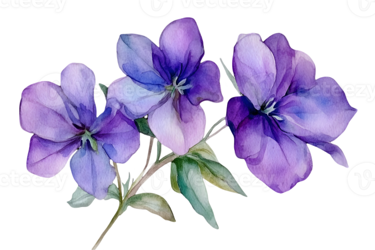 Delicate Watercolor Purple Flowers 58263628 PNG Delicate Watercolor Purple Flowers 58263628 PNG