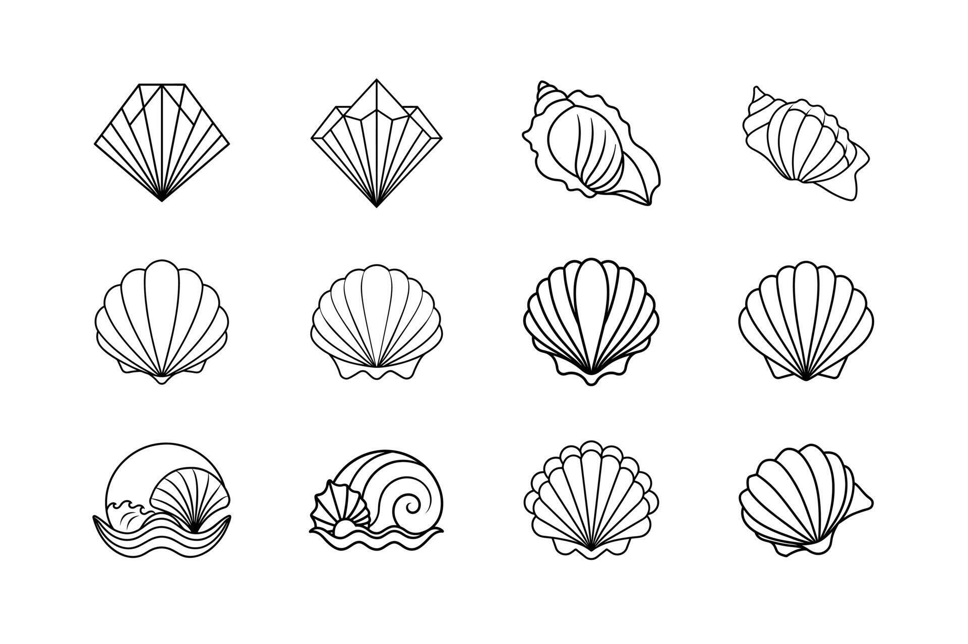 Seashells, Ocean Waves, Geometric Designs Elegant Shell Icons 58573539 ...